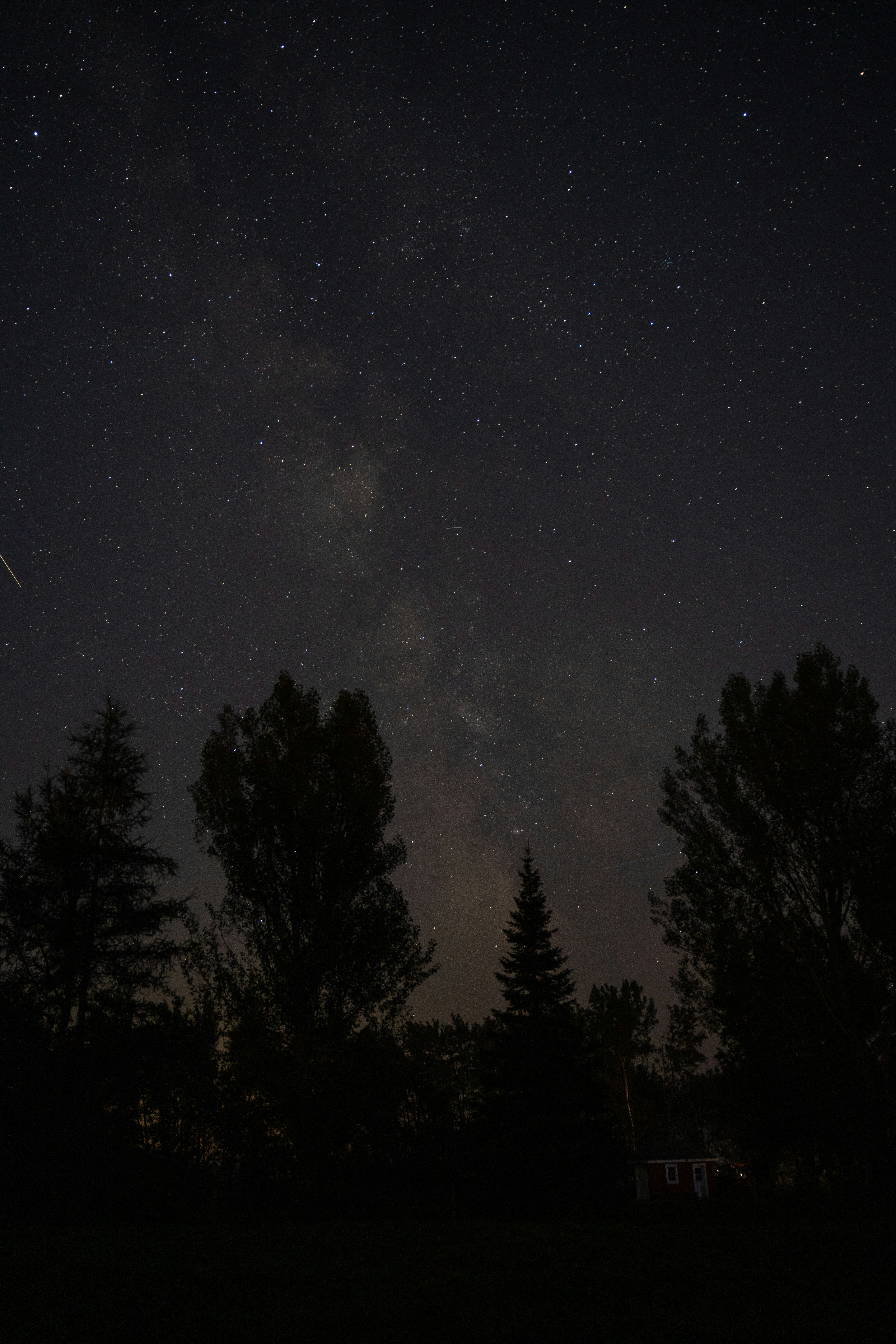 Milky Way Arches Over Silent Pines