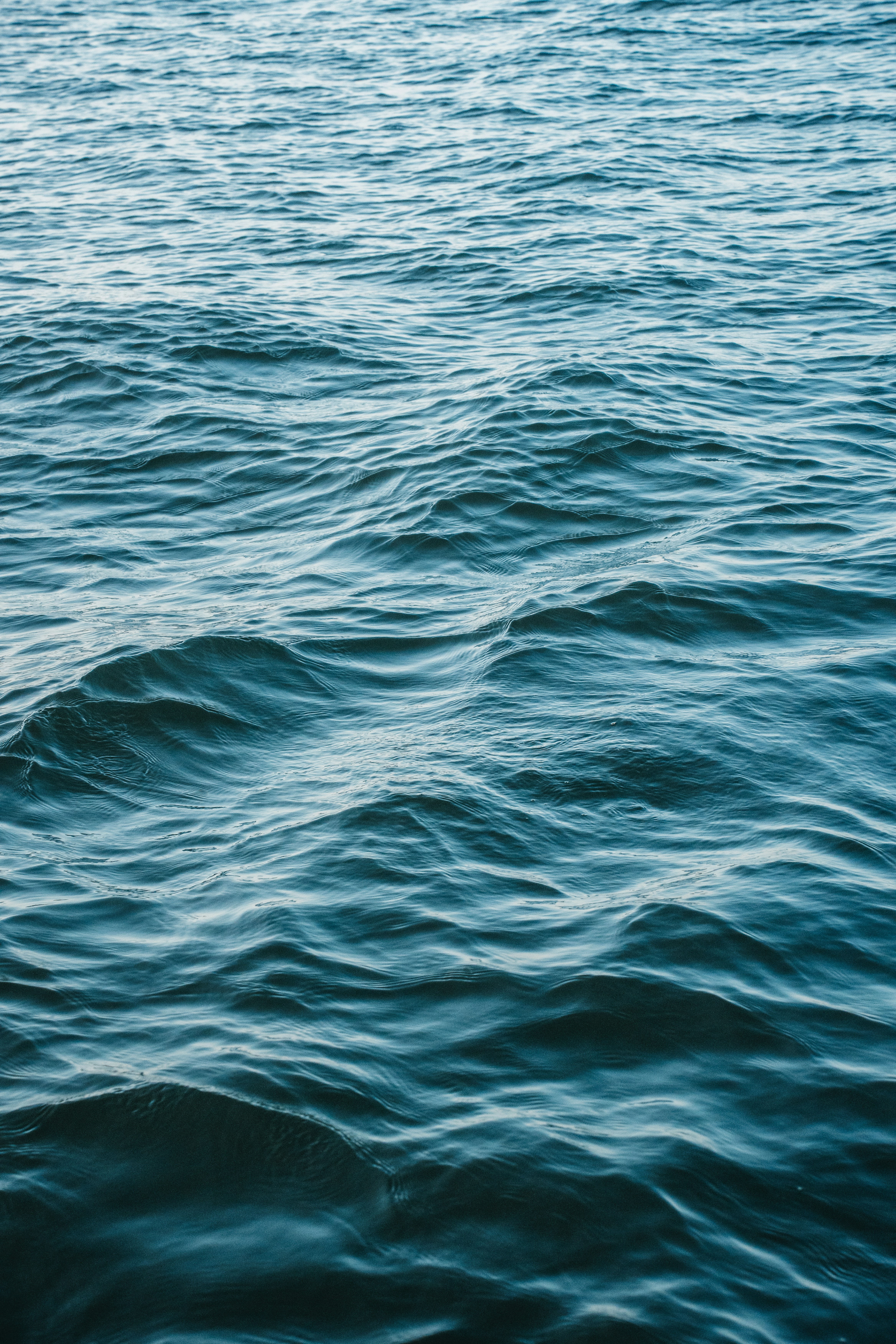 Whispers of Blue: A Quiet Study of Ocean Ridges