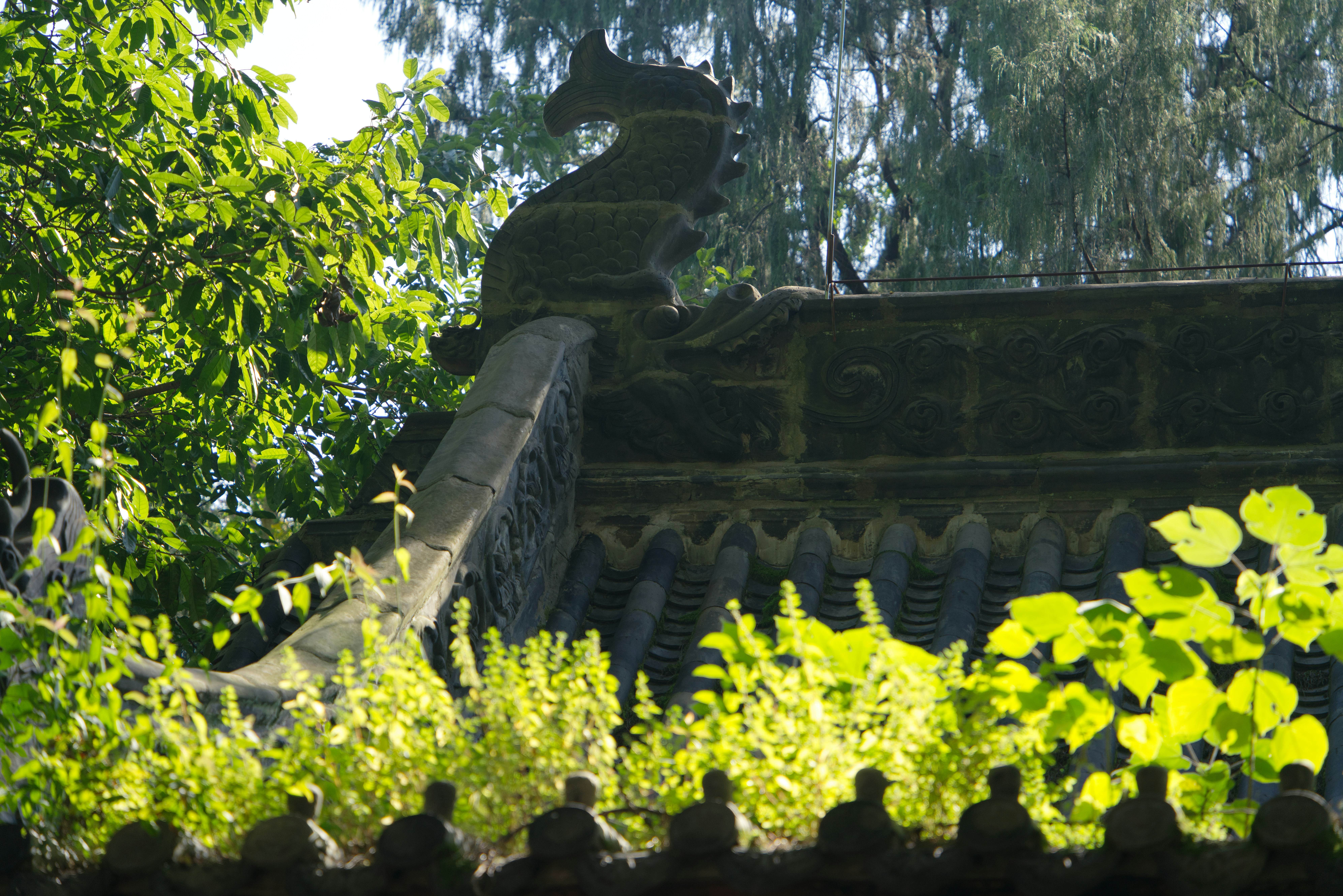 Stone Roof Crest Emerging from Bright Foliage