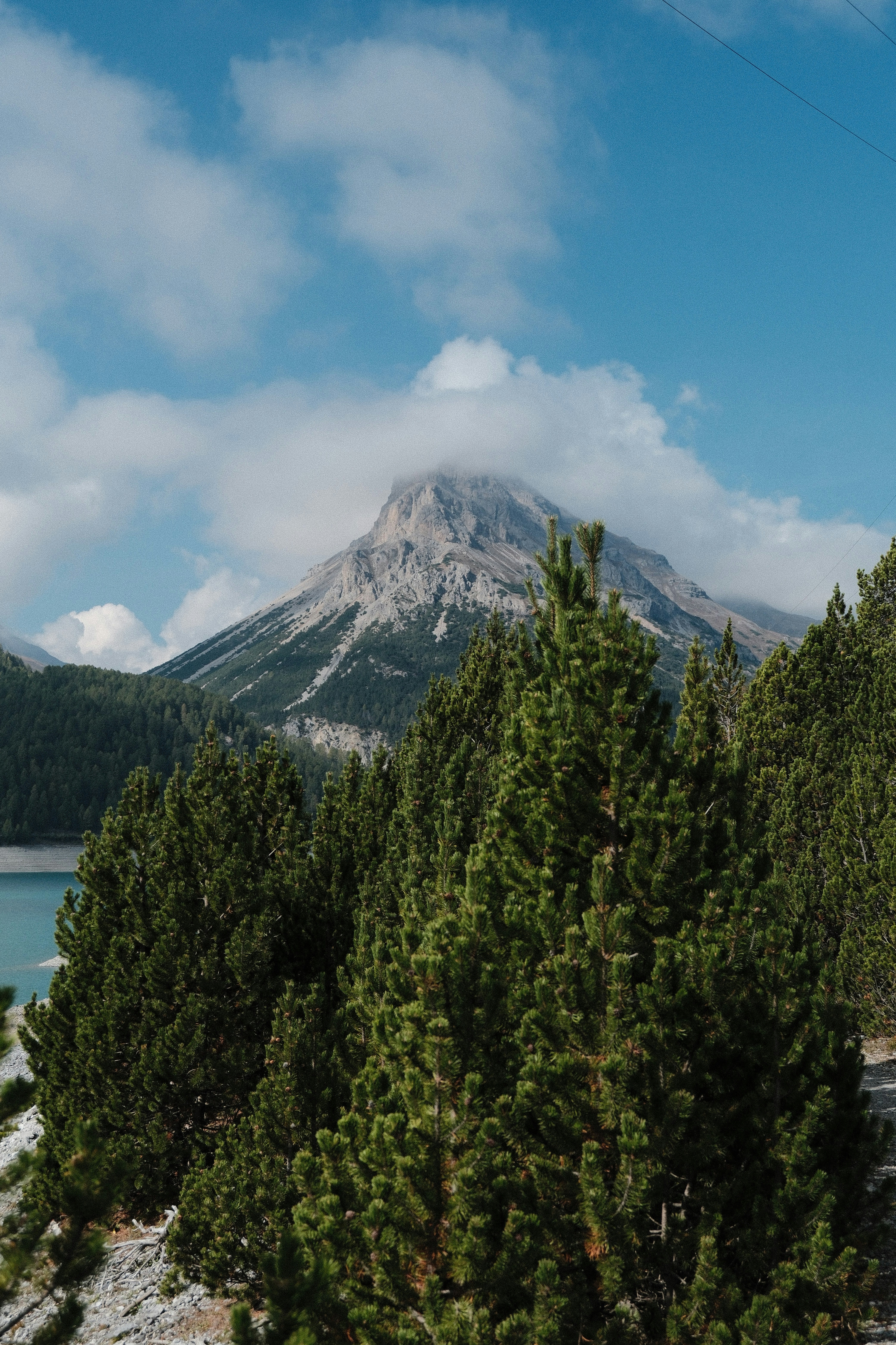 Quiet alpine scene with a rugged mountain backdrop rising above a dense stand of evergreen trees by a tranquil lake.