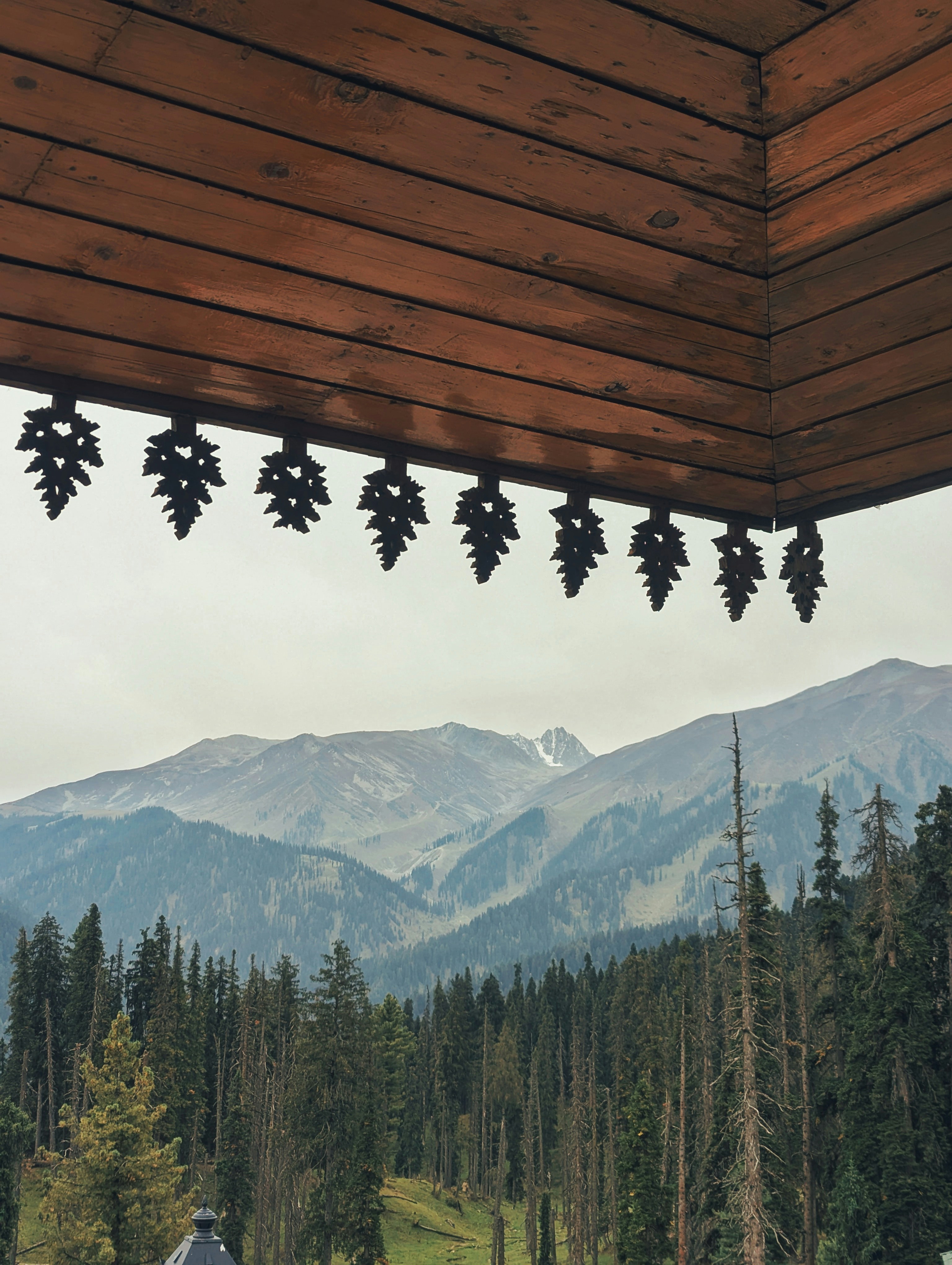 Overhang of Alpine Pines: Snow-Capped Peaks Beyond a Wooden Terrace