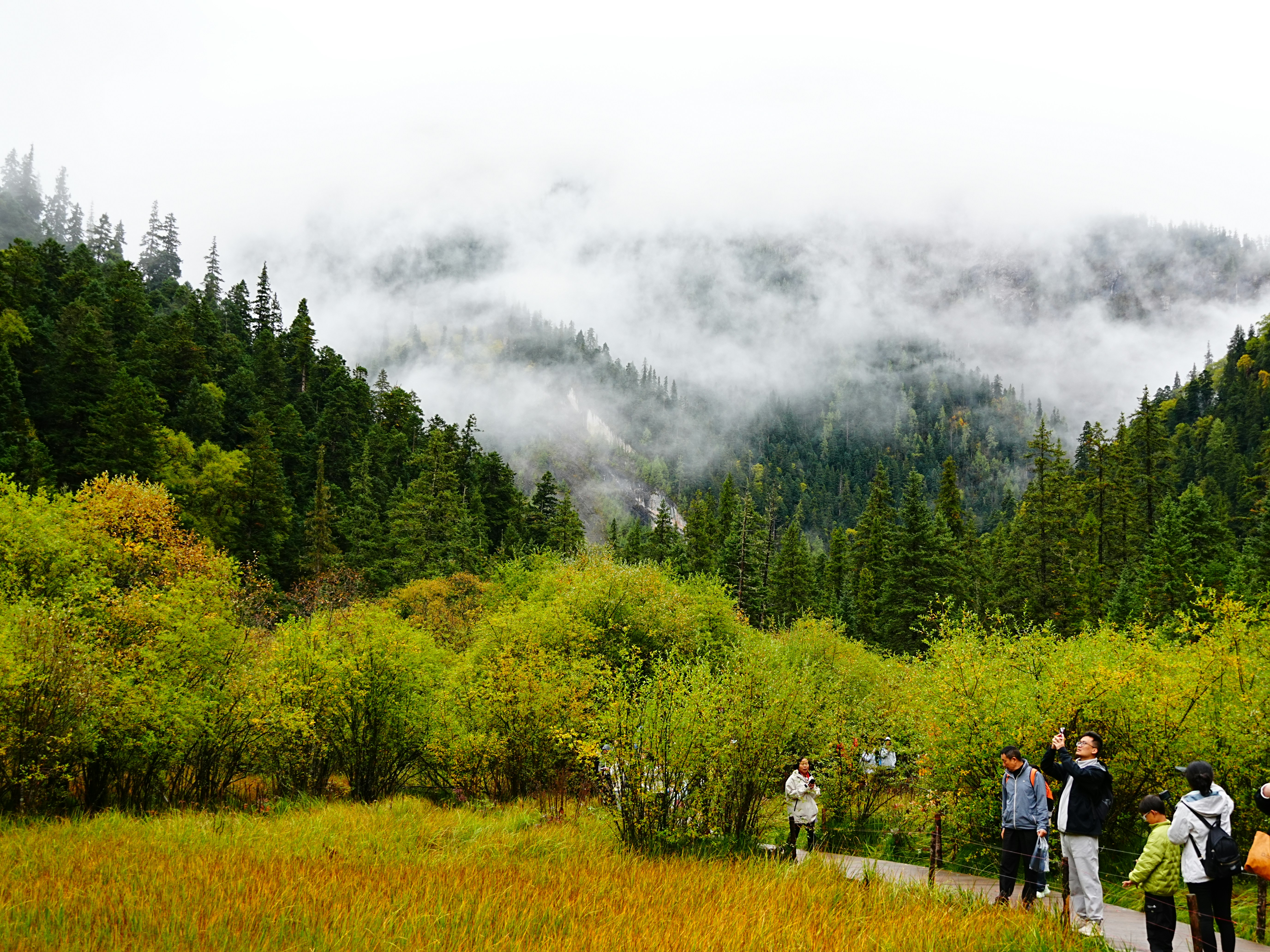 A misty mountainside meadow with vibrant autumn foliage and a small group of hikers along a winding boardwalk.