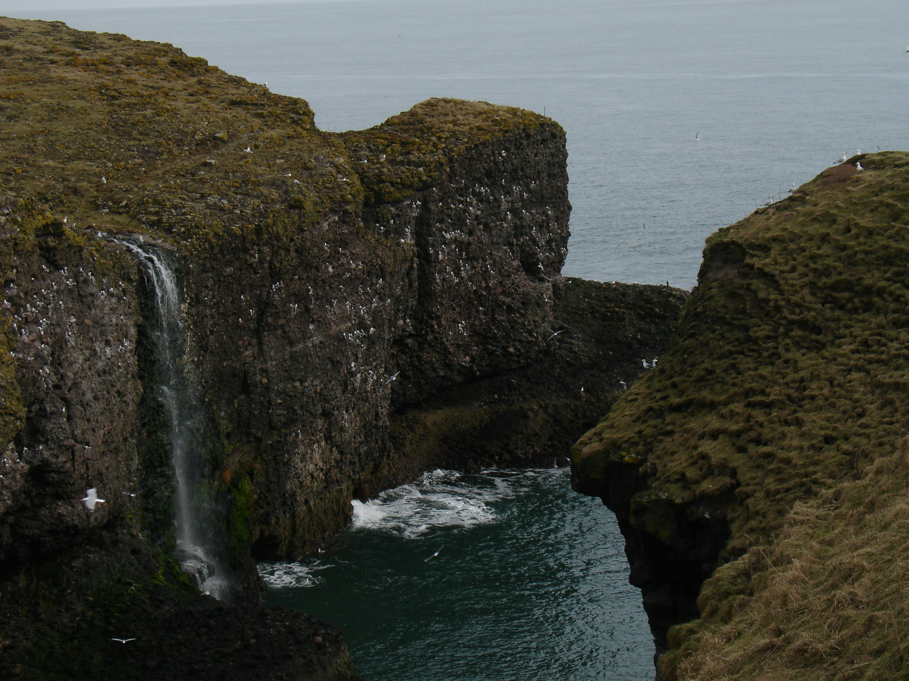 Rugged coastline with a small waterfall slipping down dark cliff faces into a narrow inlet; windswept grasses crown the cliffs and the sea stretches into the distance.