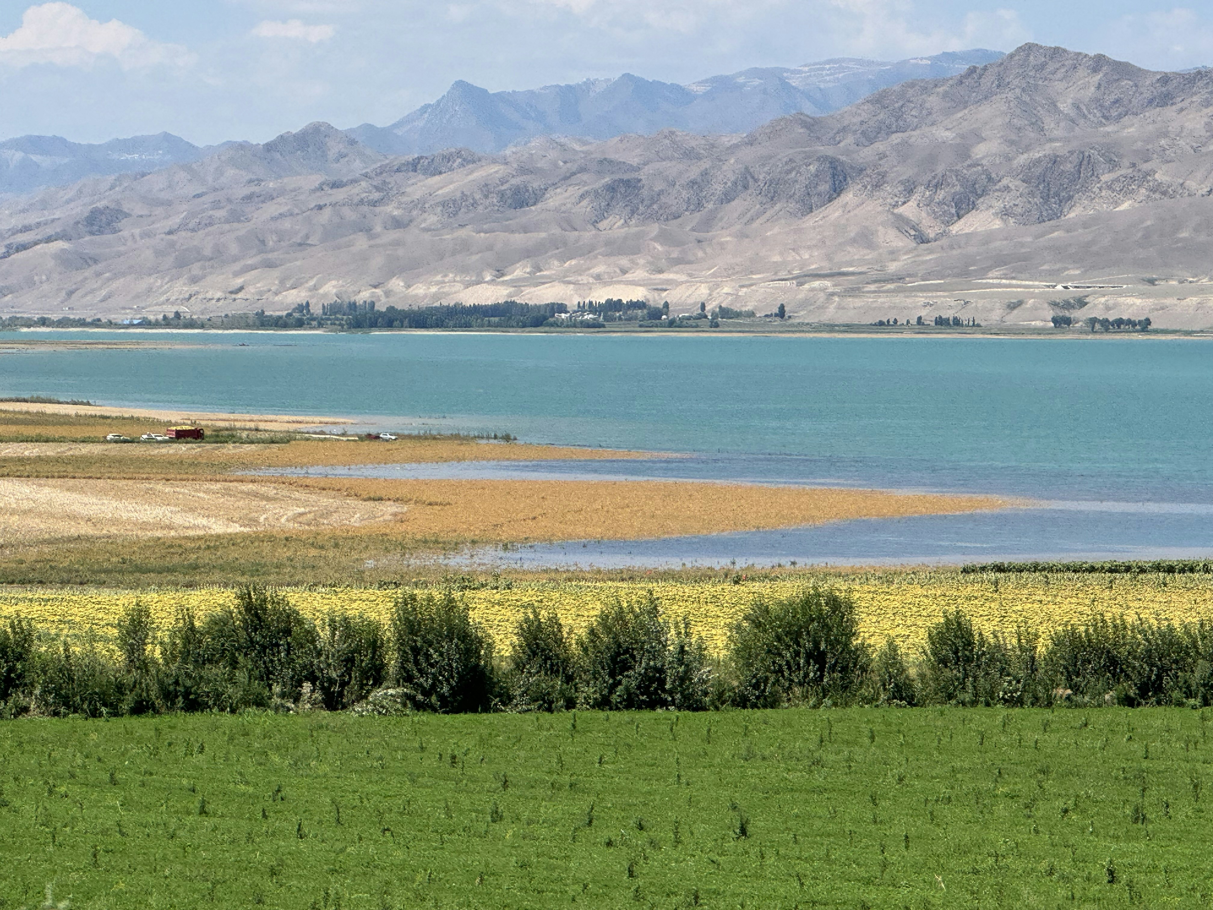 Verdant fields roll toward a turquoise lake with colorful shoreline, set against distant mountains and a clear sky.