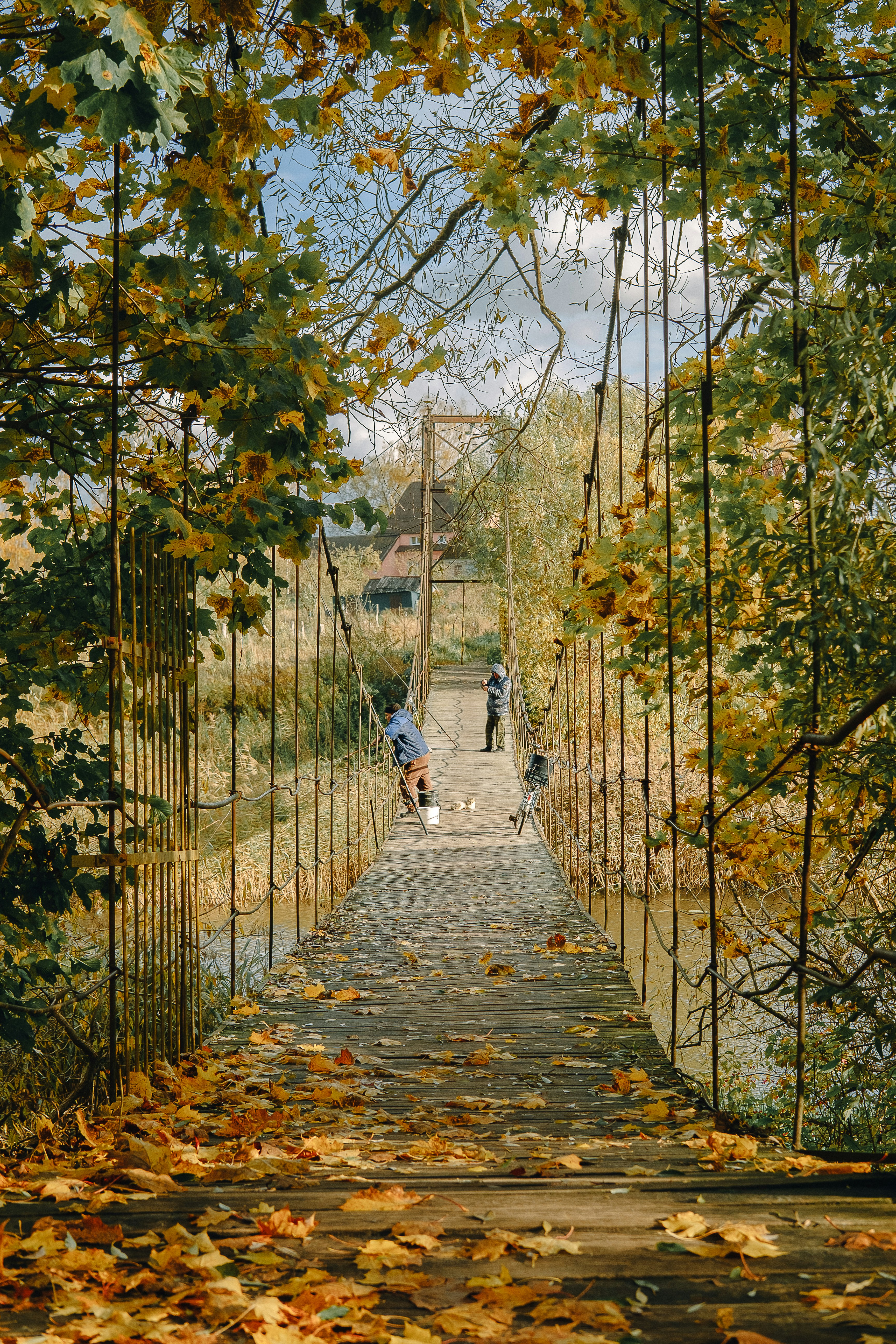 Autumn Bridge: A Quiet Walk Through Leaf-Cloaked Rails