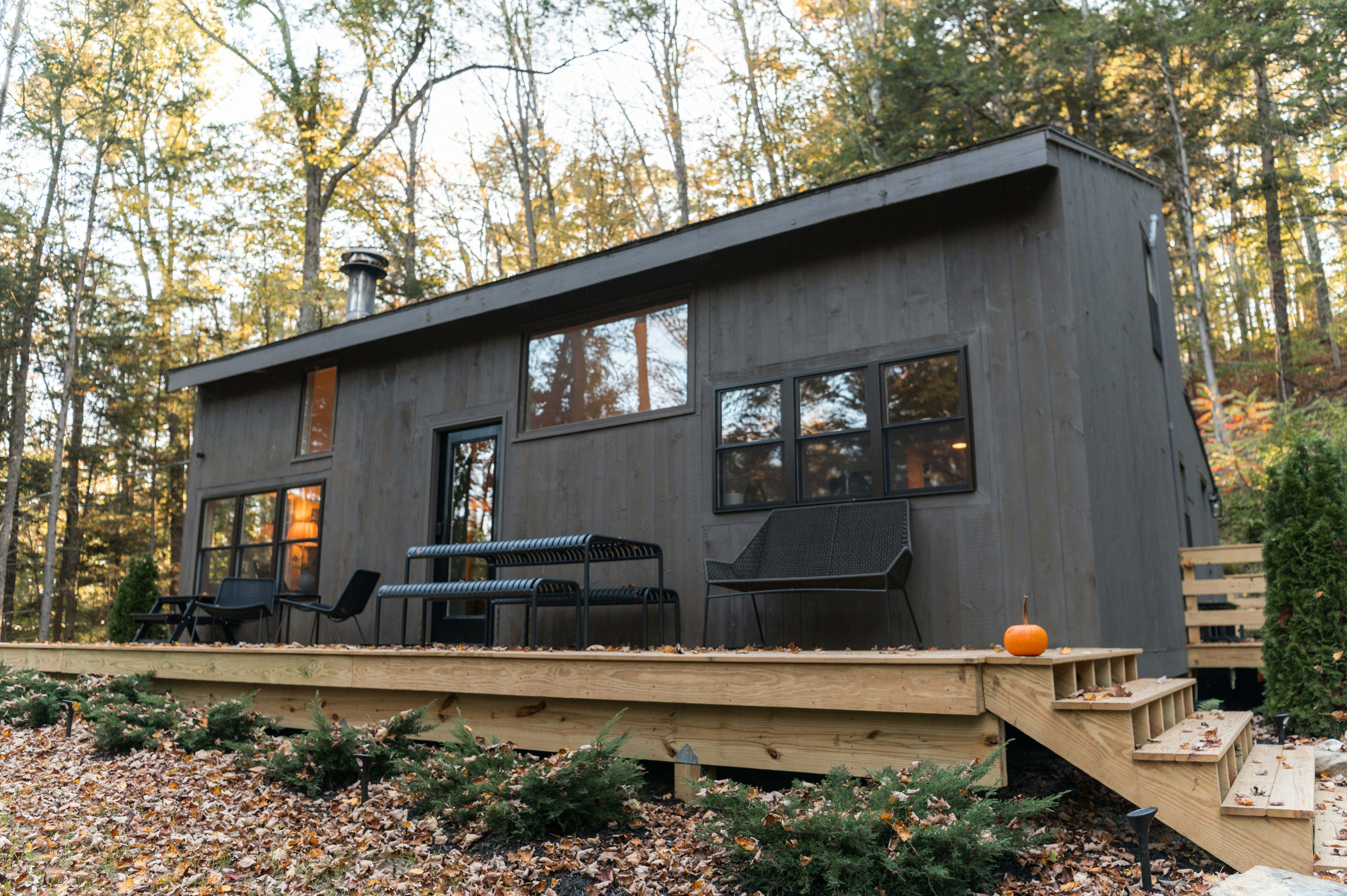 Dark Cabin on a Leaf-Strewn Hill: Minimalist Modern Living