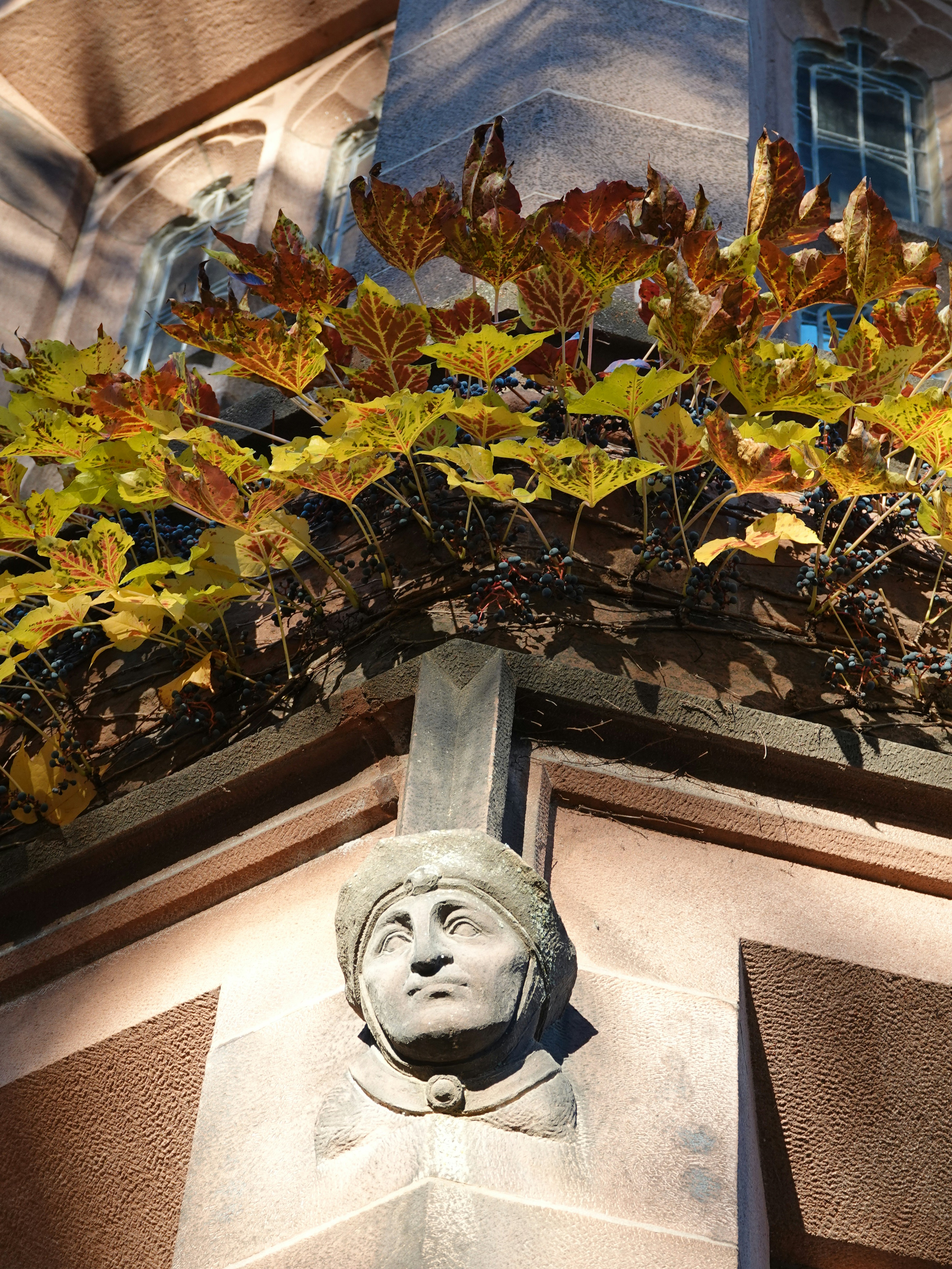 Stone Carver’s Gaze: A Portrait beneath Autumn Ivy