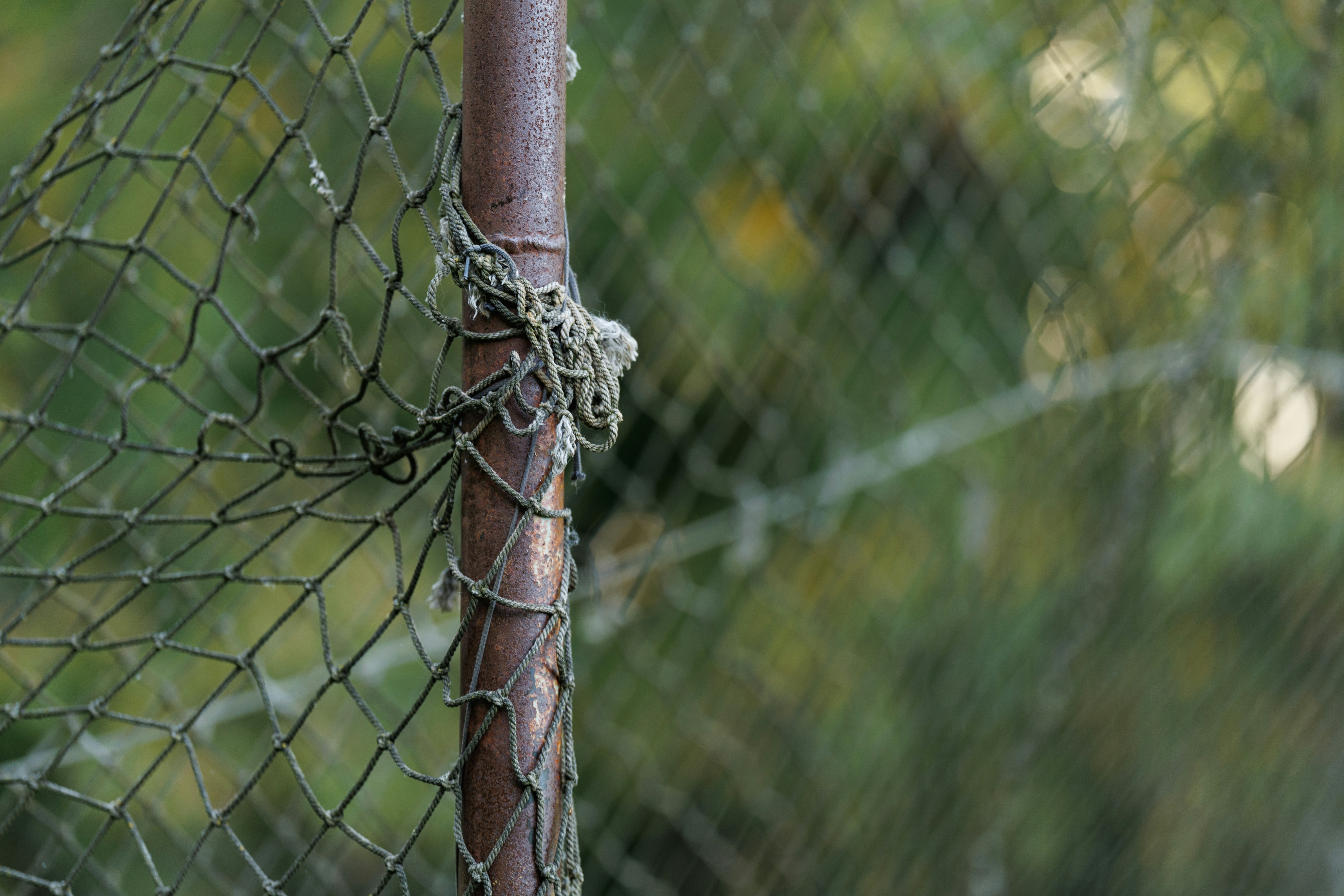 Weathered Fence Post: A Tangled Knot of Utility and Nature