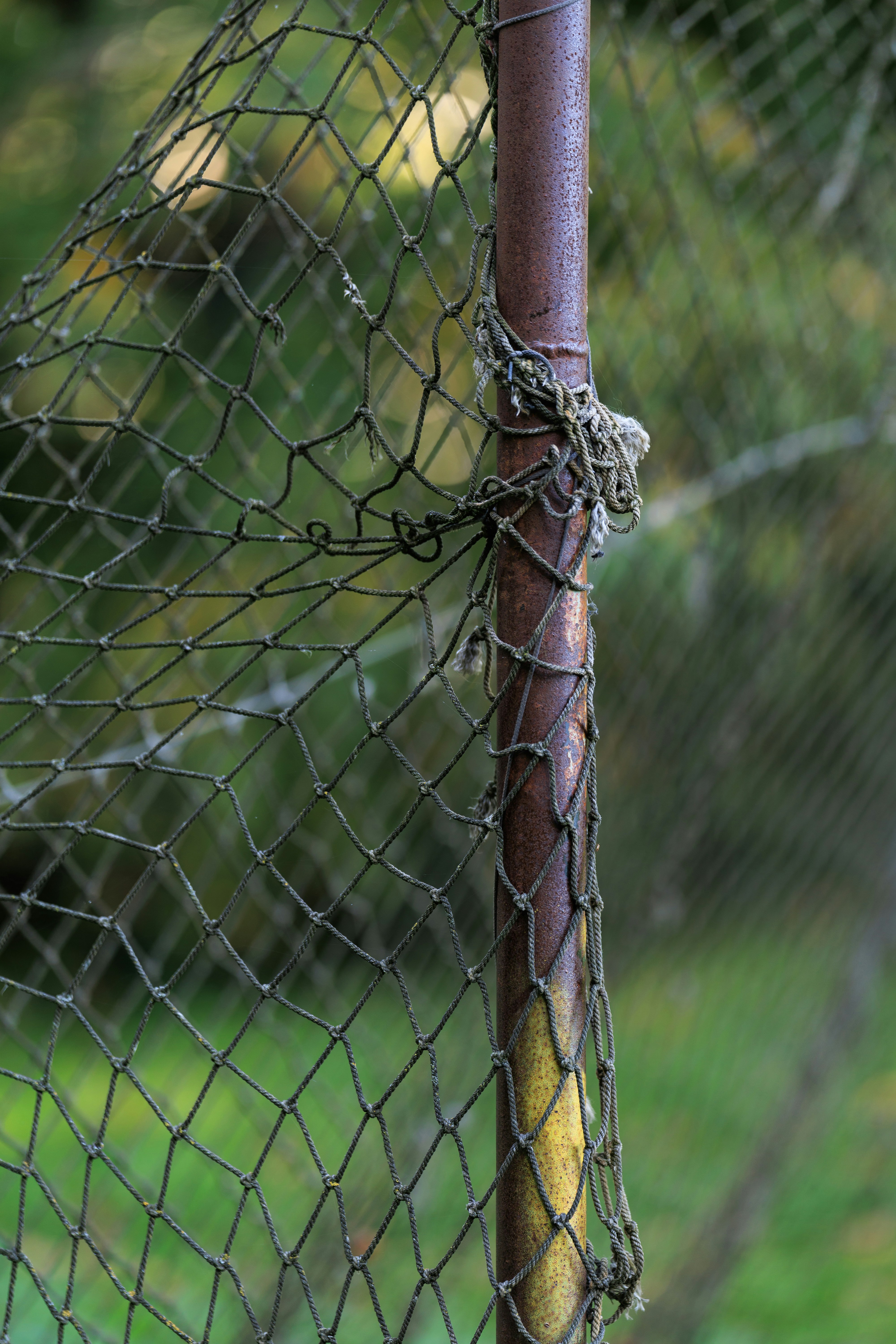 Weathered fence post with knotted netting in a sunlit garden
