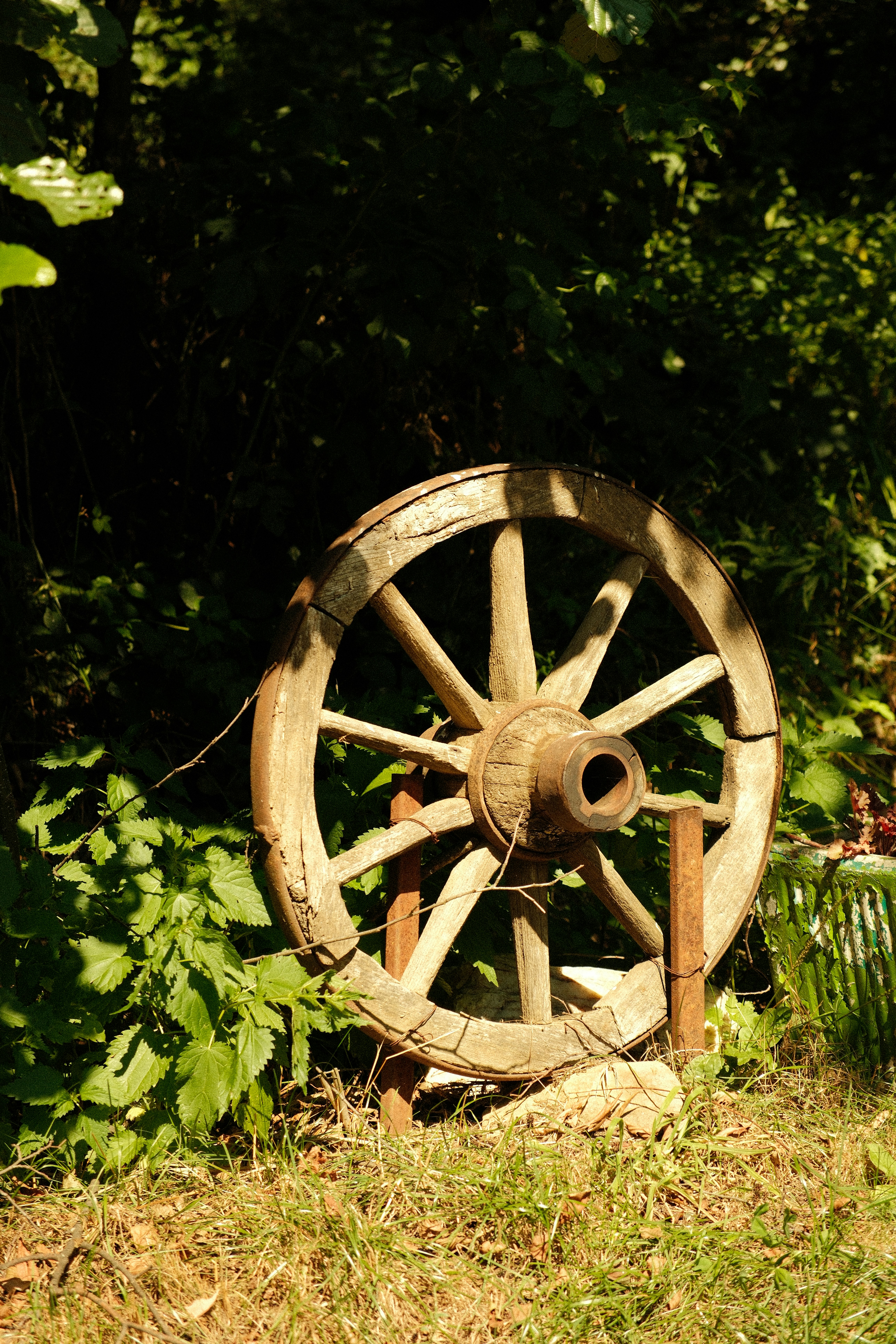 Rusty Wheel of Time: A Sunlit Wagon Wheel in Quiet Overgrowth