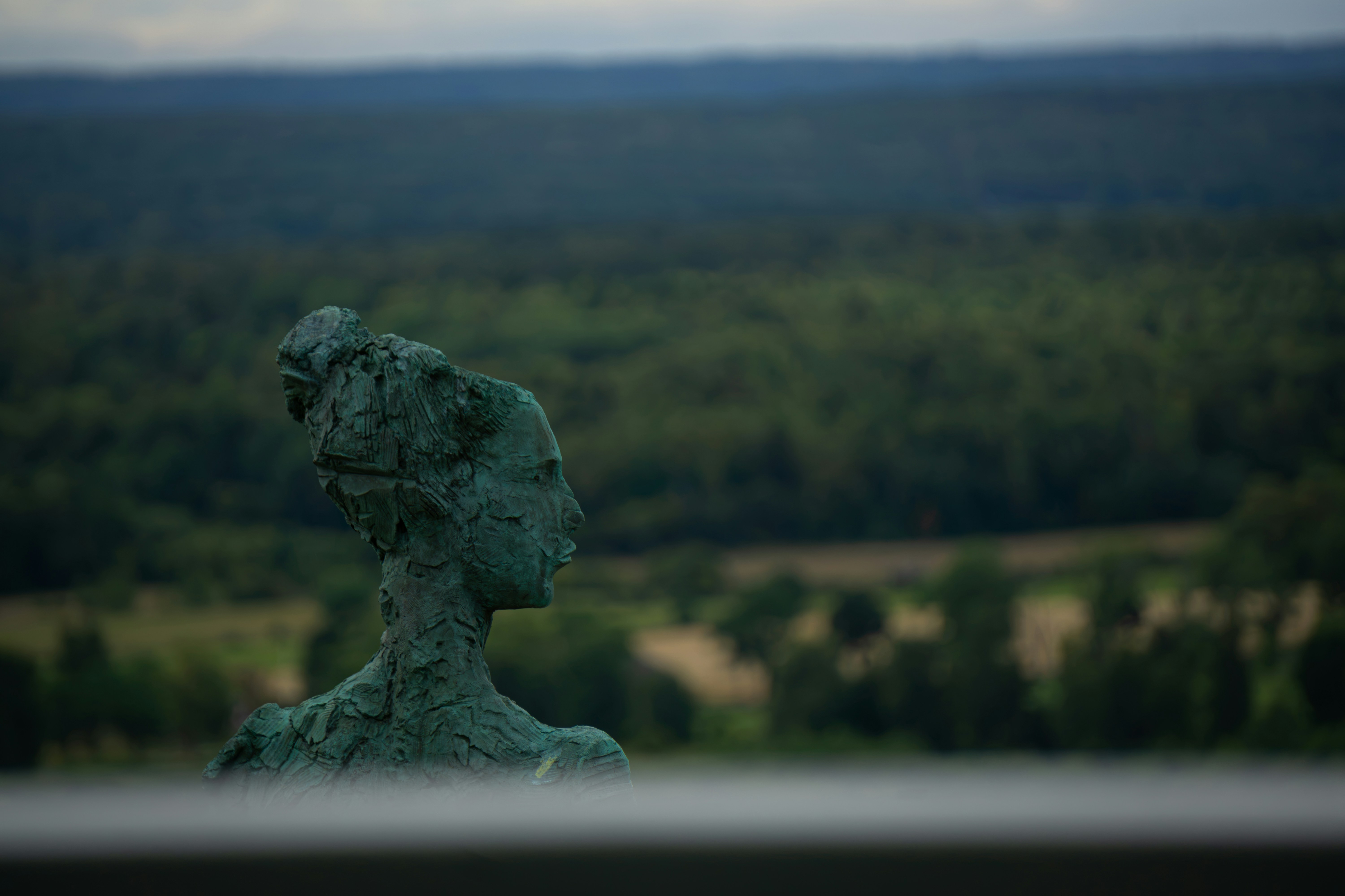 Weathered Silhouette: a solitary statue watches over a verdant valley