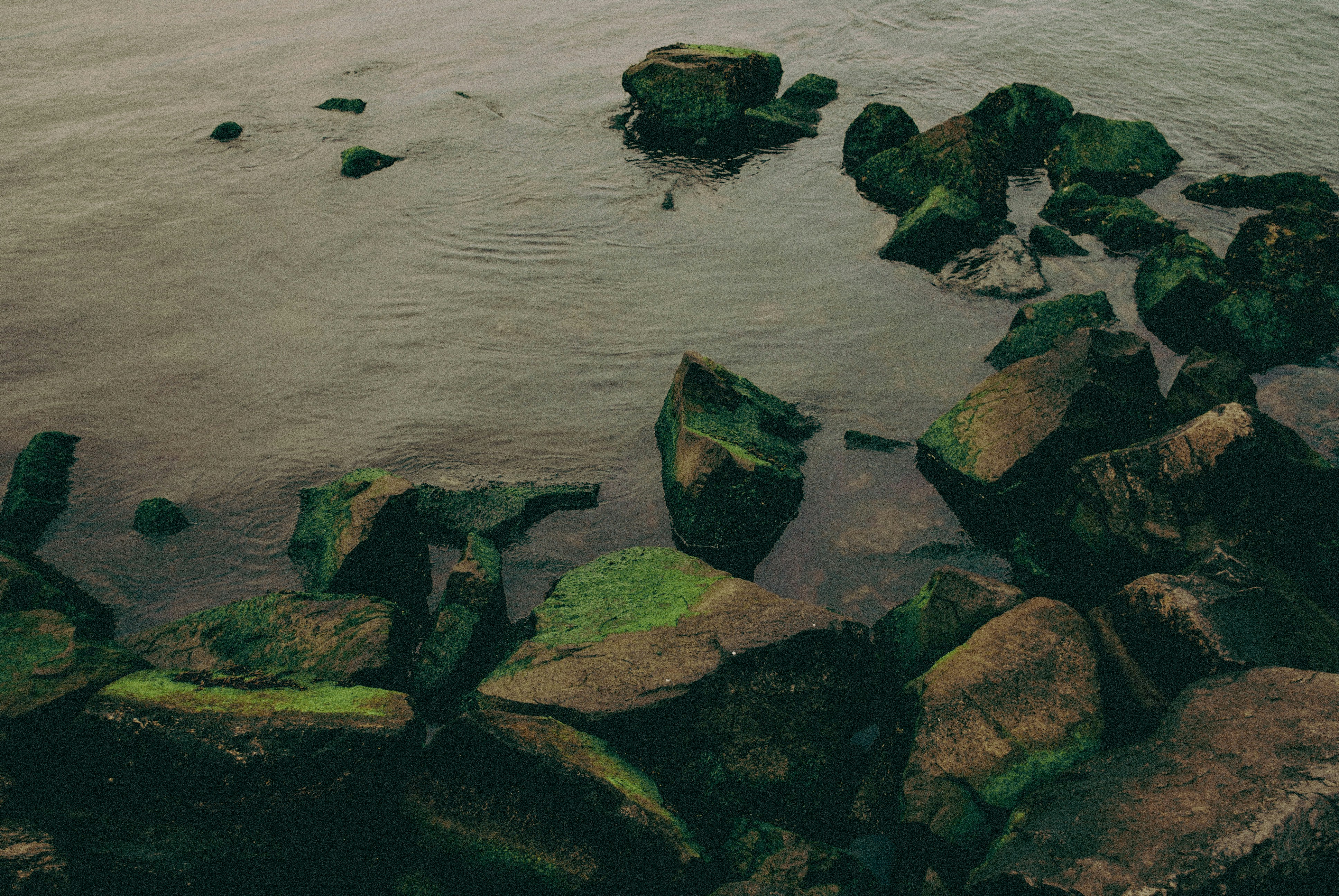 Rocks along a mossy shoreline jut into calm water with a muted, earthy palette.