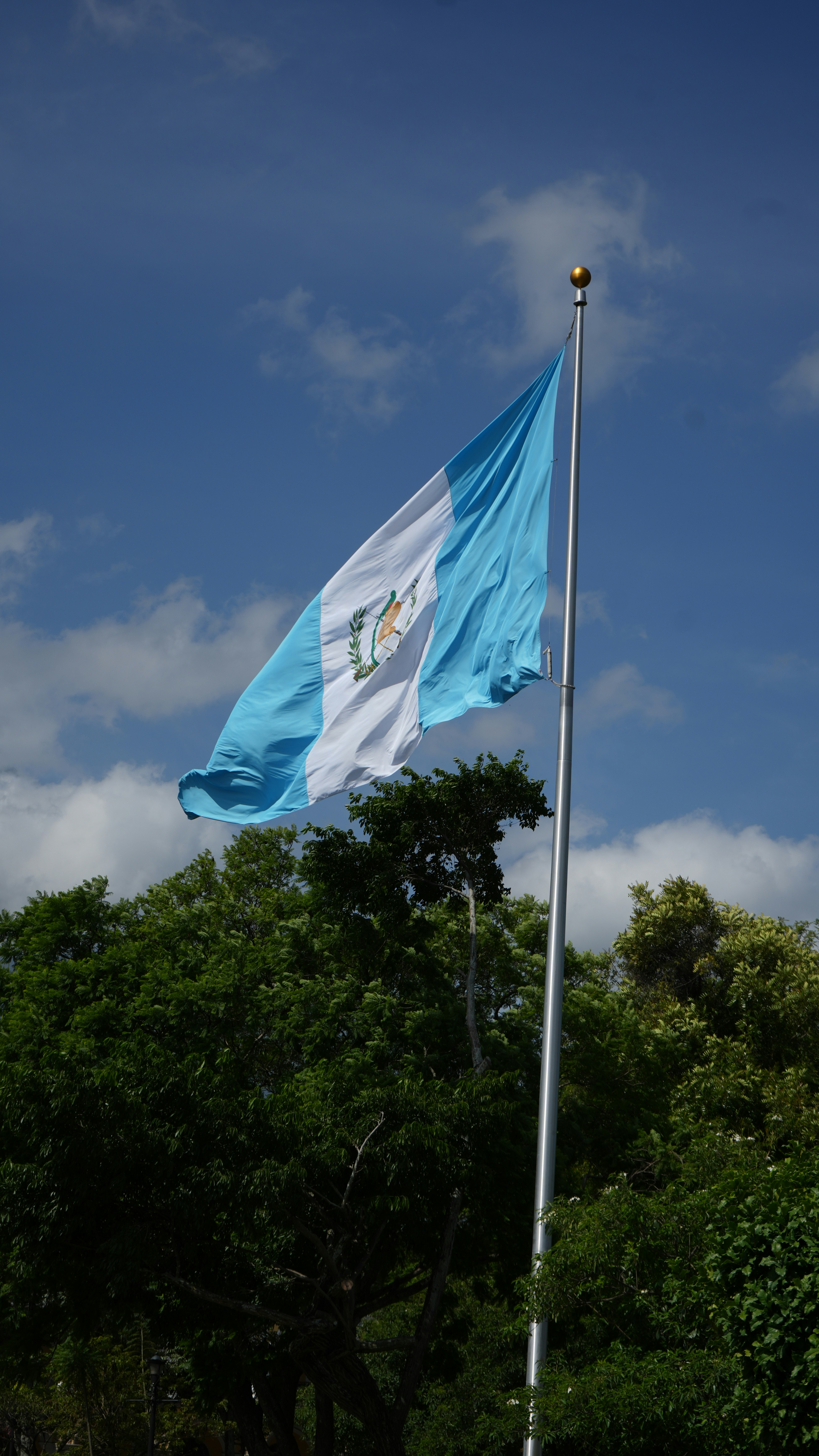 Blue-and-White Flag Against a Sky of Blue