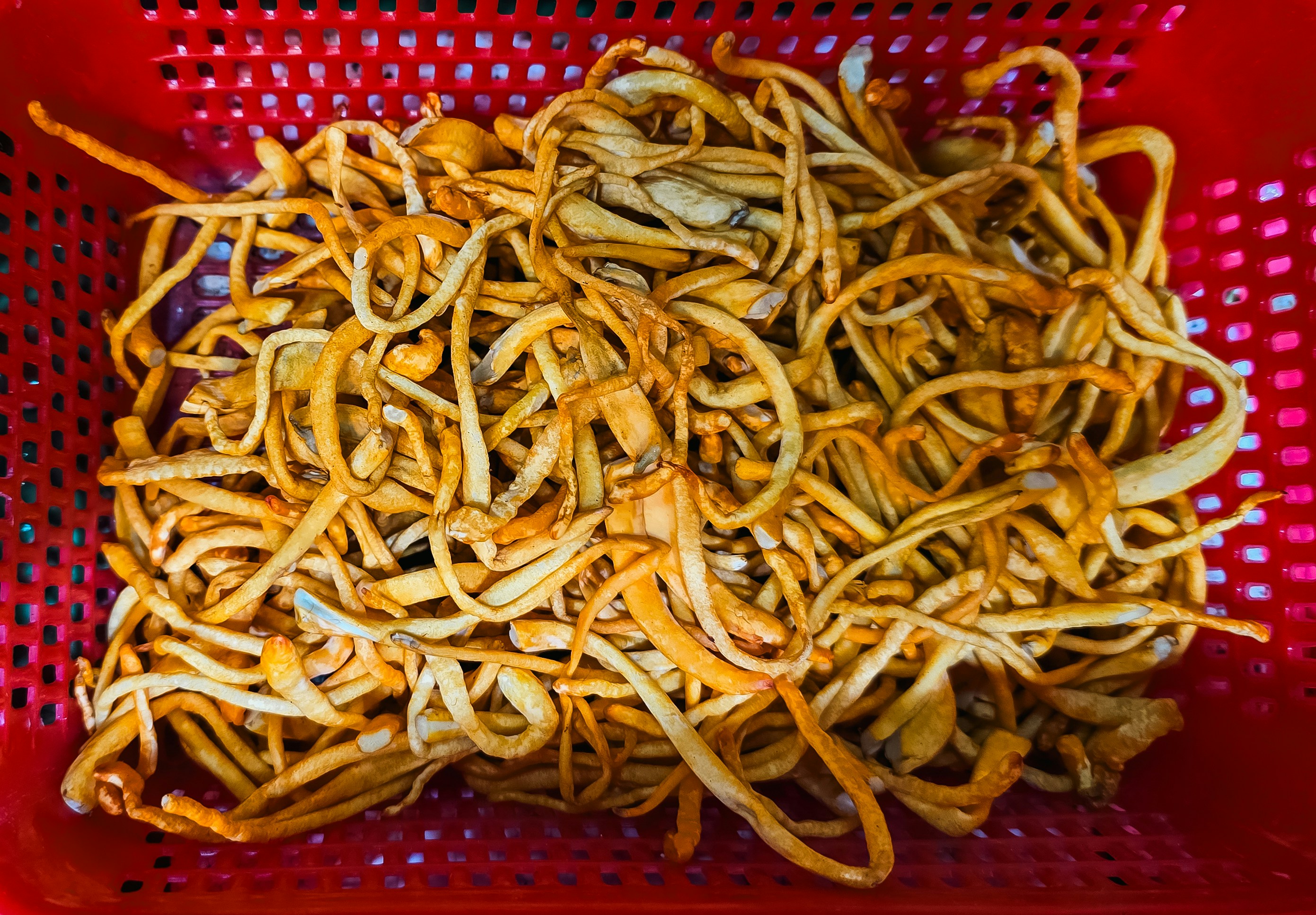 Golden Noodles in a Red Basket: Tangled Crisps of Crunch and Color