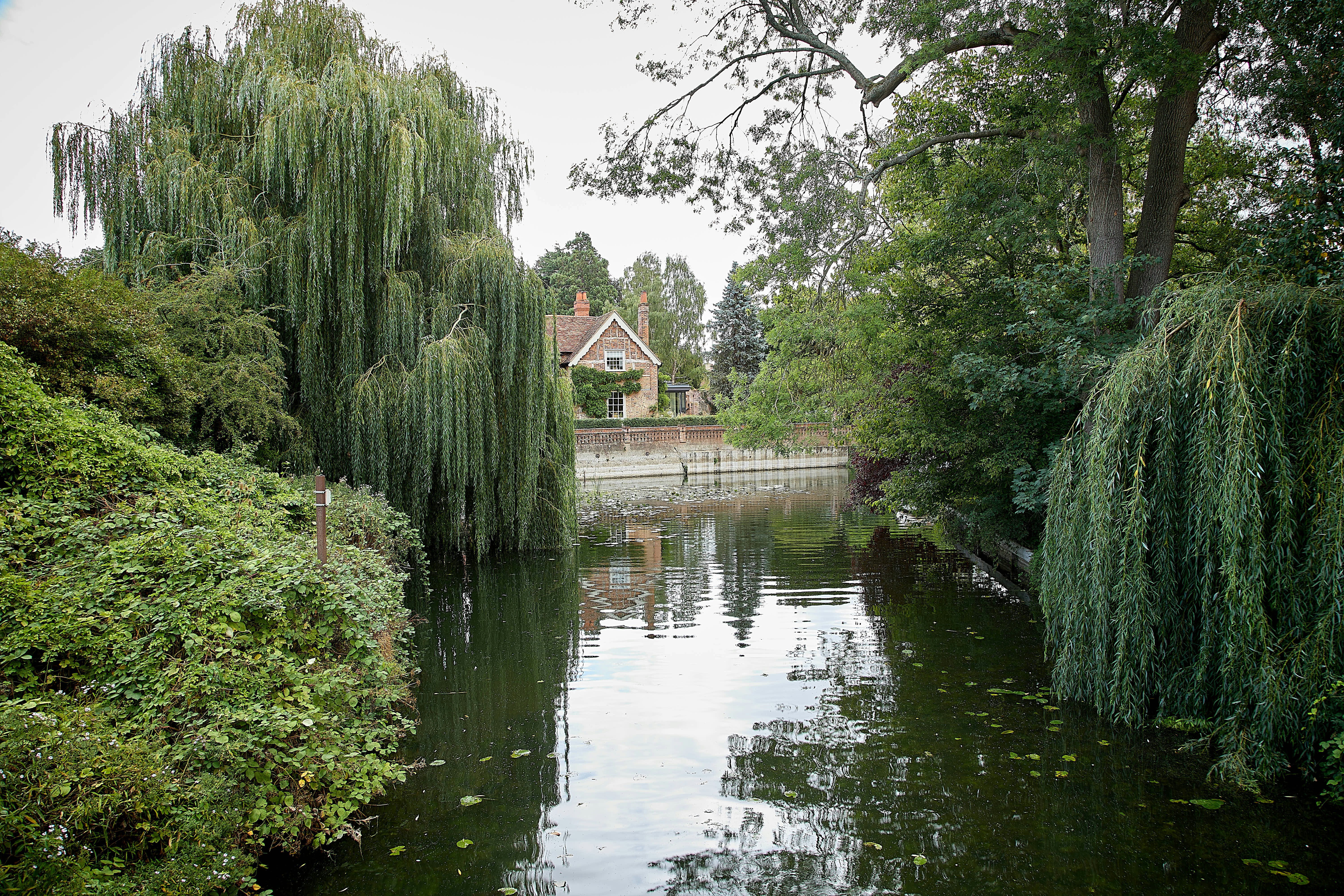 Bankside Reflections and a Hidden Manor