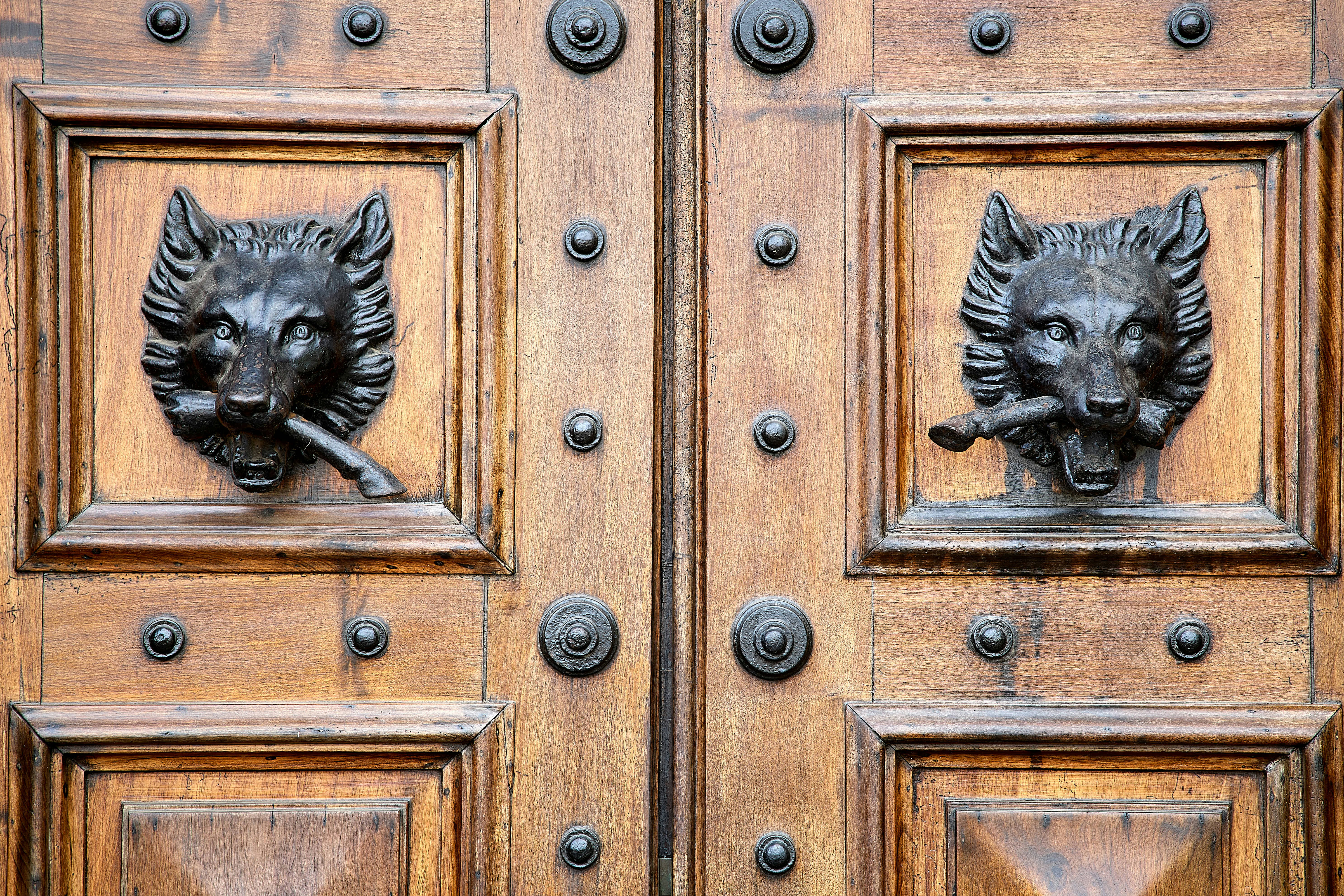 Dragonhead doorknobs: carved guardians on weathered walnut doors