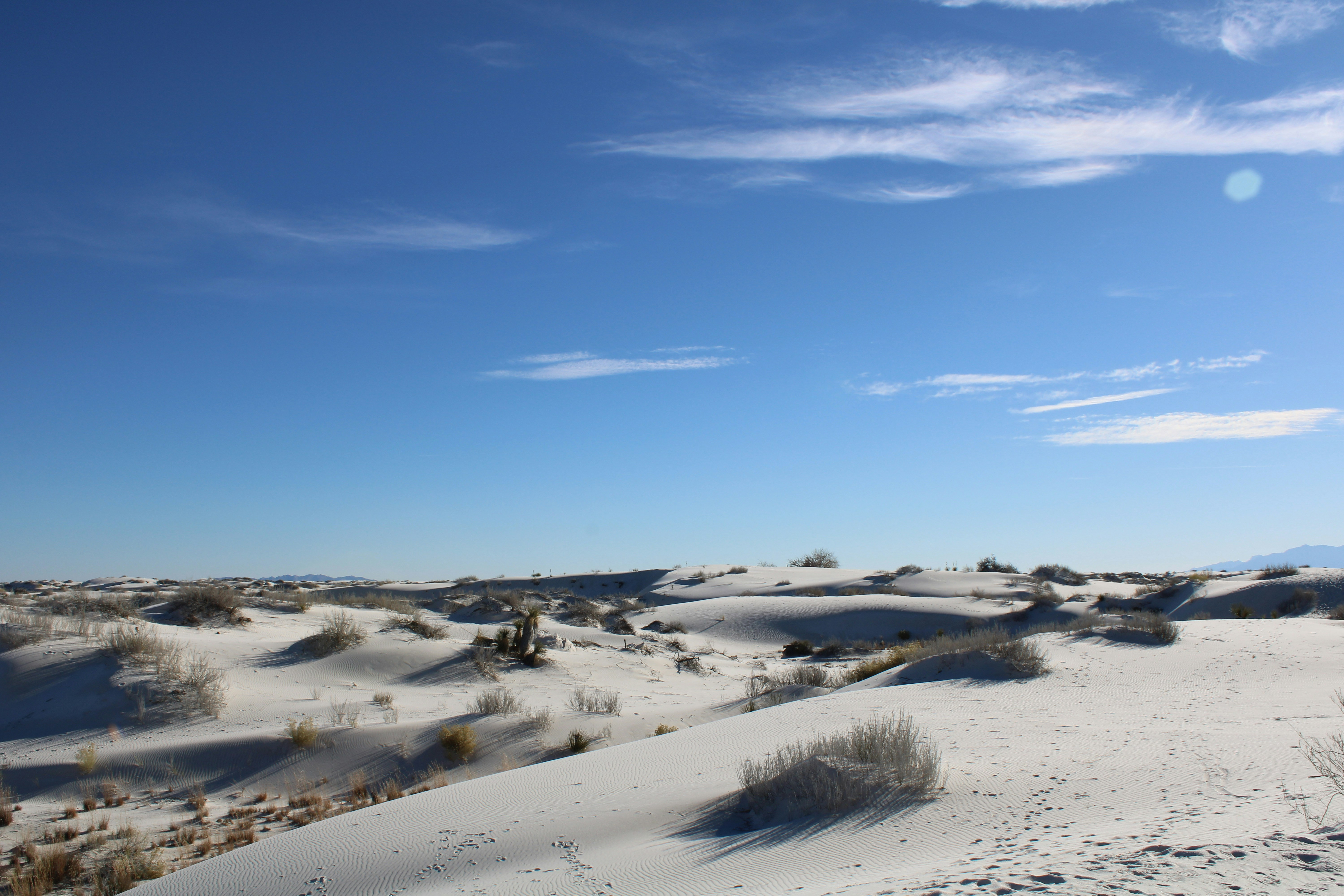 Bright sand dunes stretch under a clear blue sky with sparse grasses swaying in the breeze; a landscape-focused shot emphasizing texture and horizon.