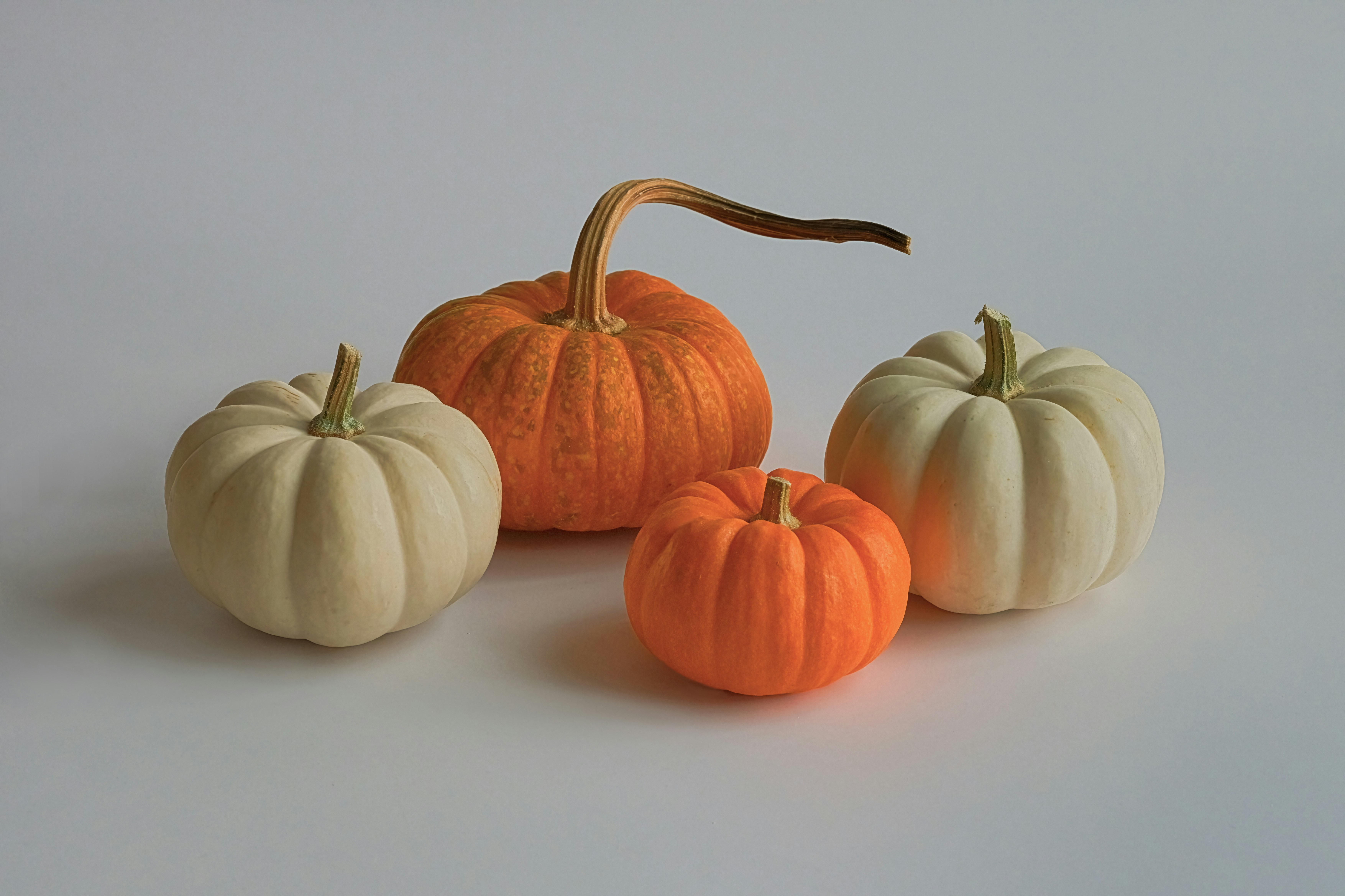 Four pumpkins rest on a clean white surface, with three pale tones and one vivid orange center pumpkin creating a subtle vignette.