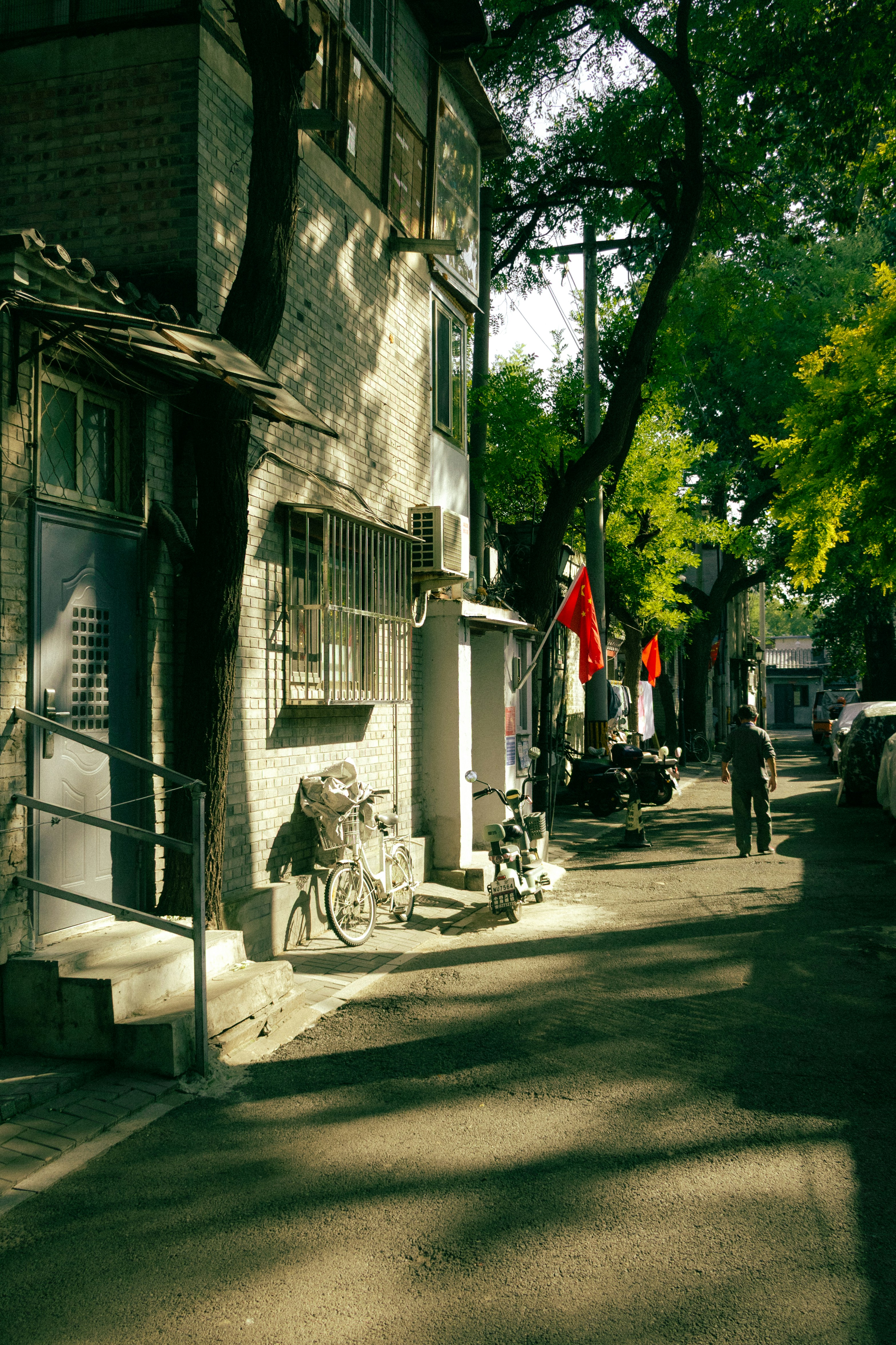 Sunlit alleyway with bicycles and a lone figure under canopy of trees
