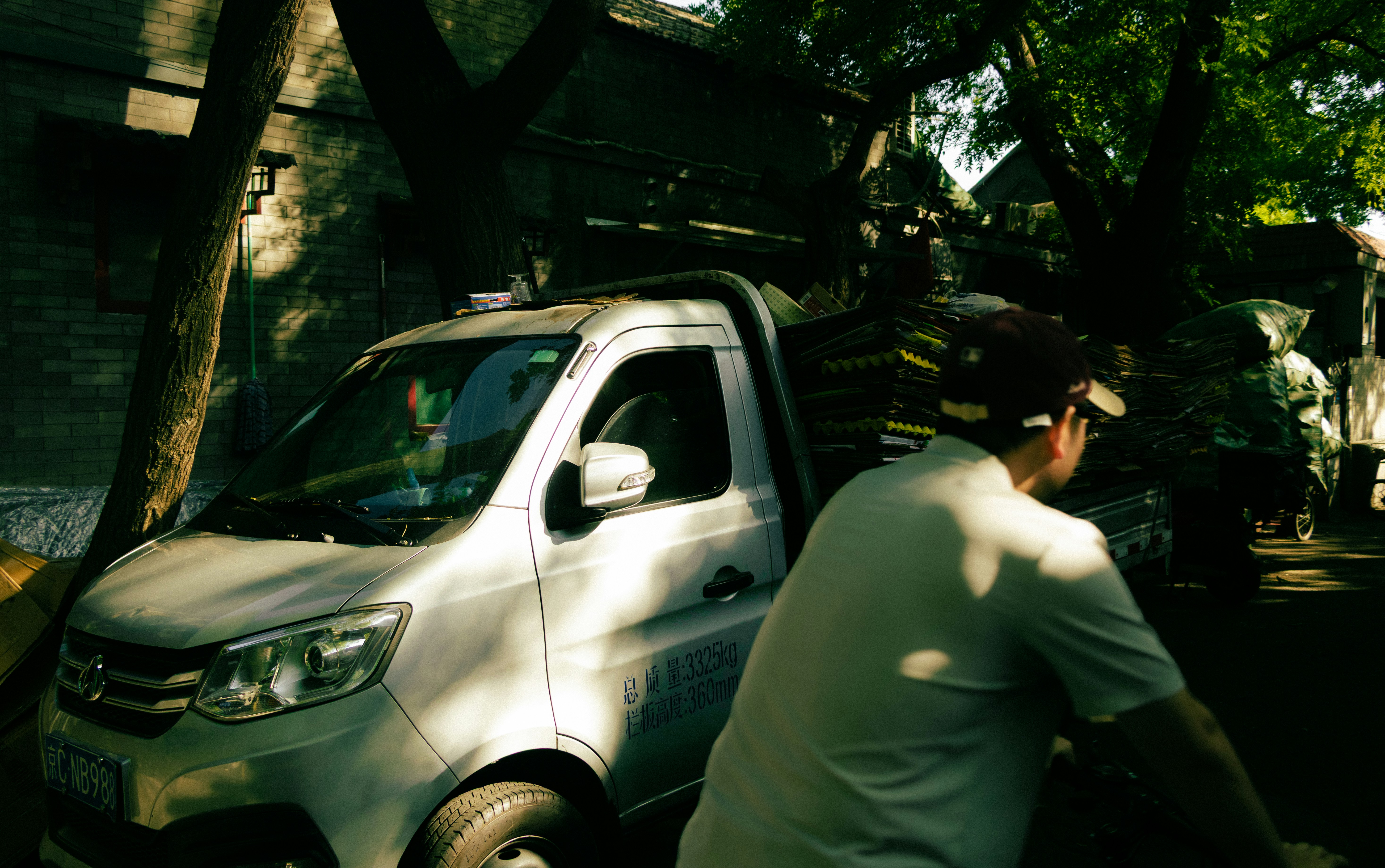 Delivery van at dusk: a worker in motion under dappled shade