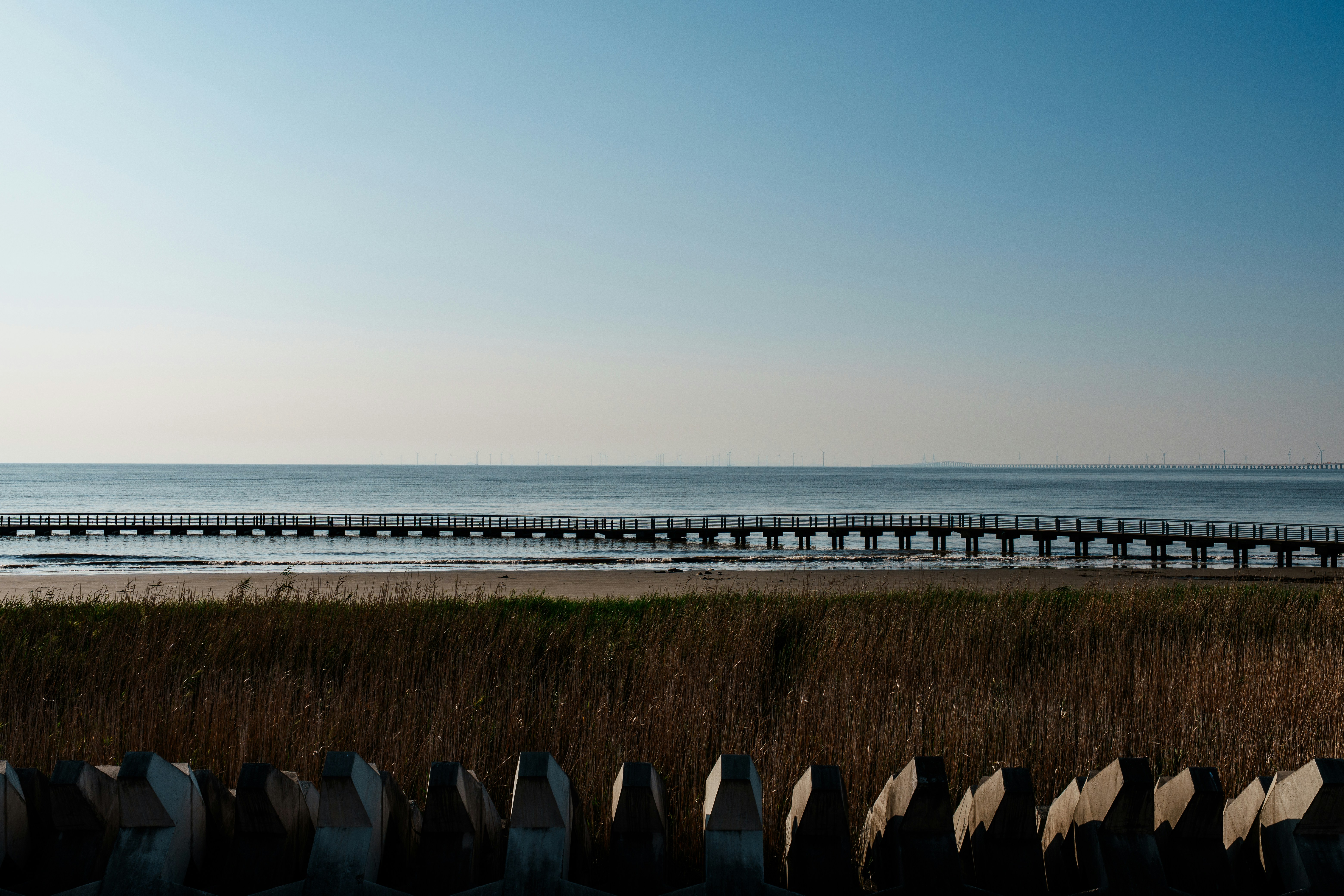 Calm coastal scene with a distant pier stretching across the horizon, a grassy foreground, and structures along the shore; the image emphasizes tranquil shoreline composition and natural textures.