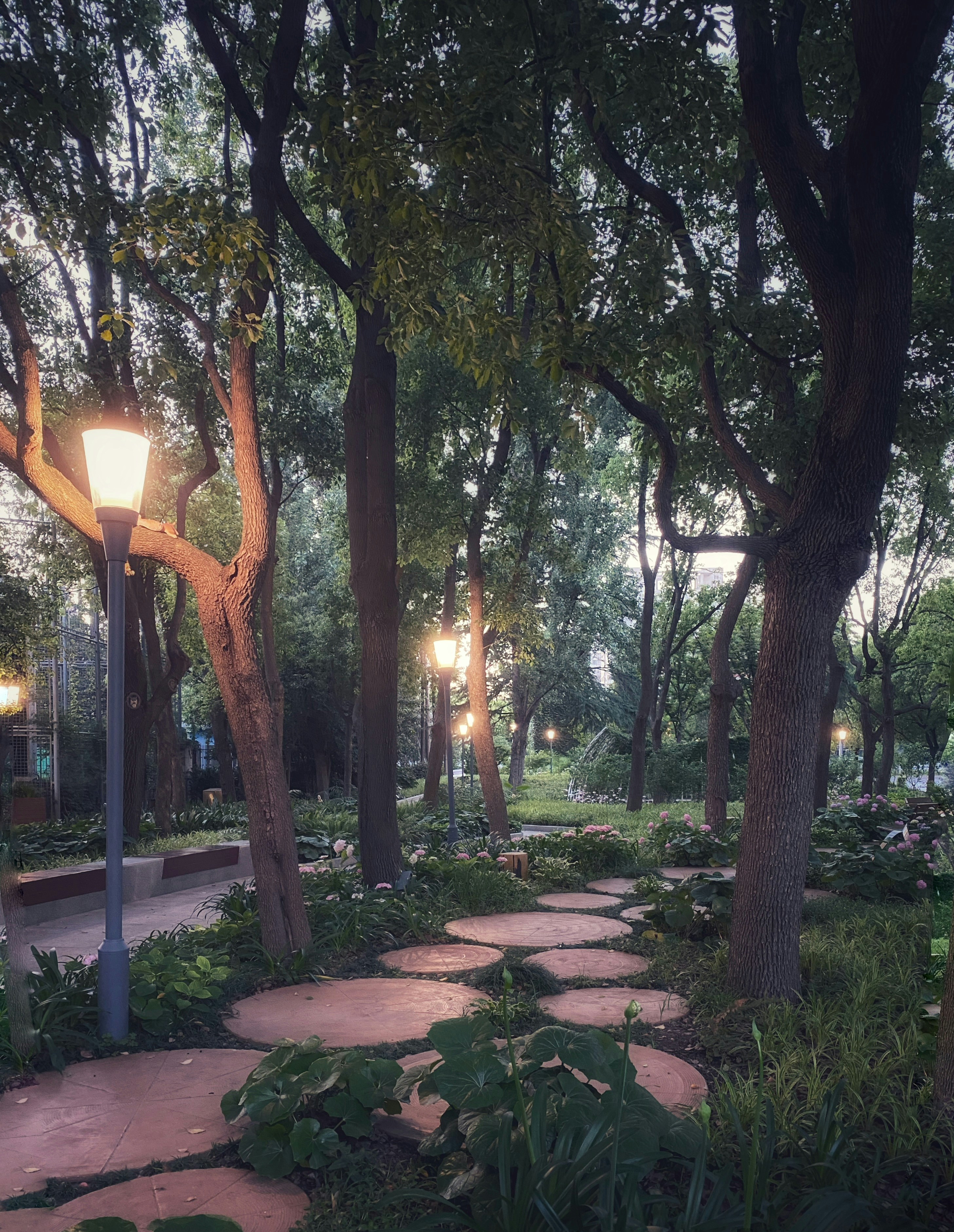 Evening stroll along a stone path lined with trees and vintage lampposts in a calm park. The scene emphasizes the soft glow and tranquil mood of dusk.