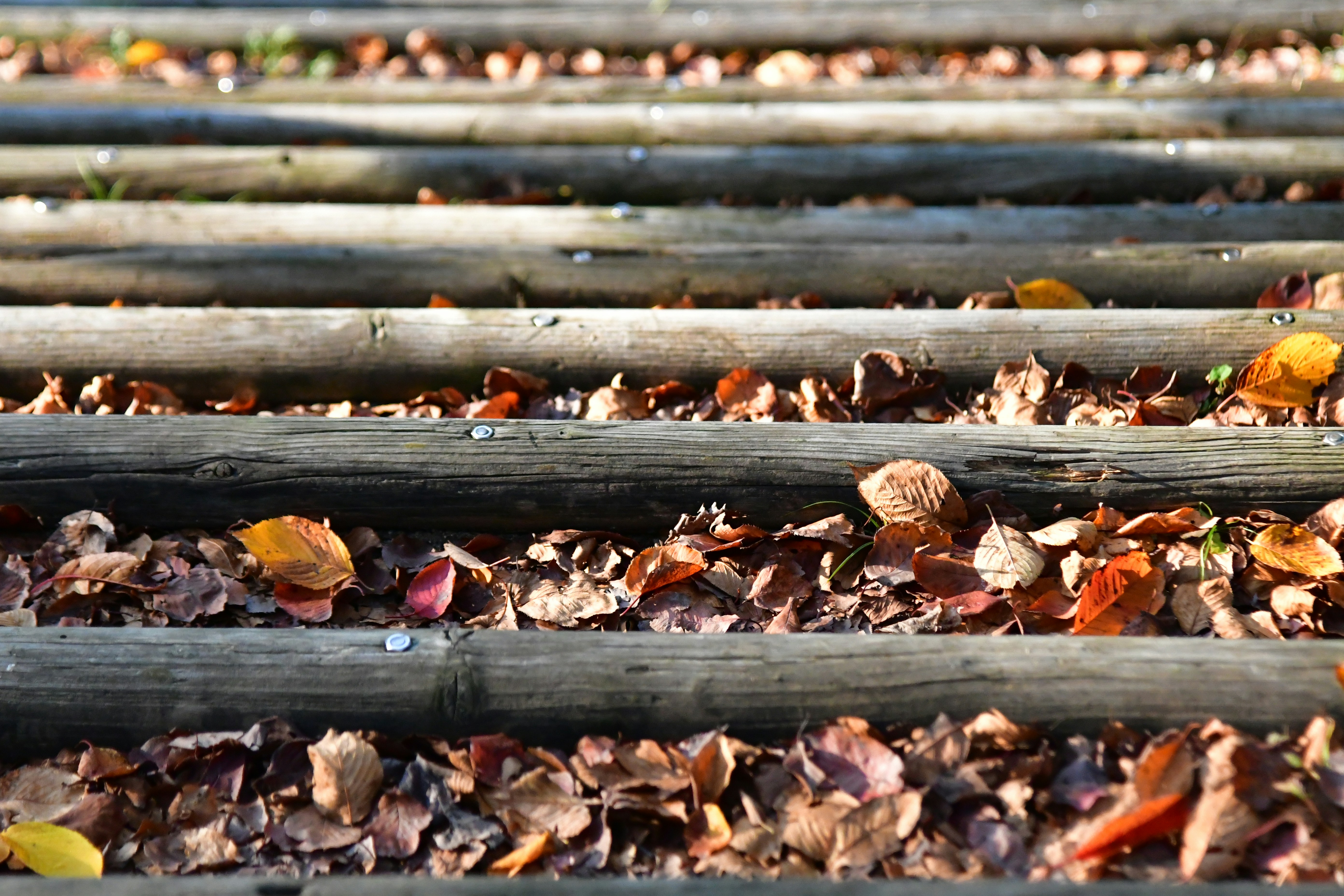 Autumn Stairway: Faded Rails and Fallen Leaves