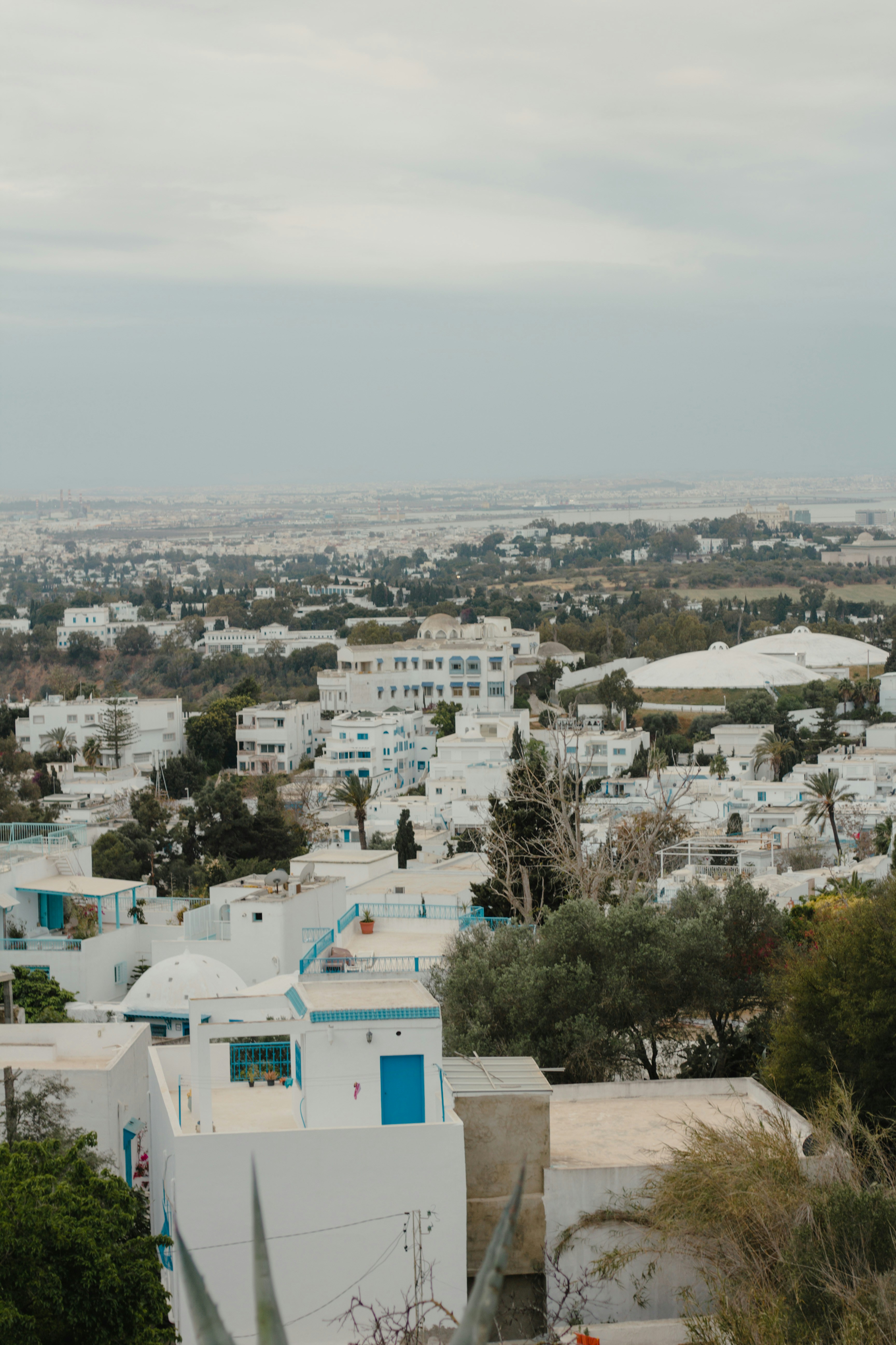 Whitewashed towers cascade through a sunlit Tunisian hillside village