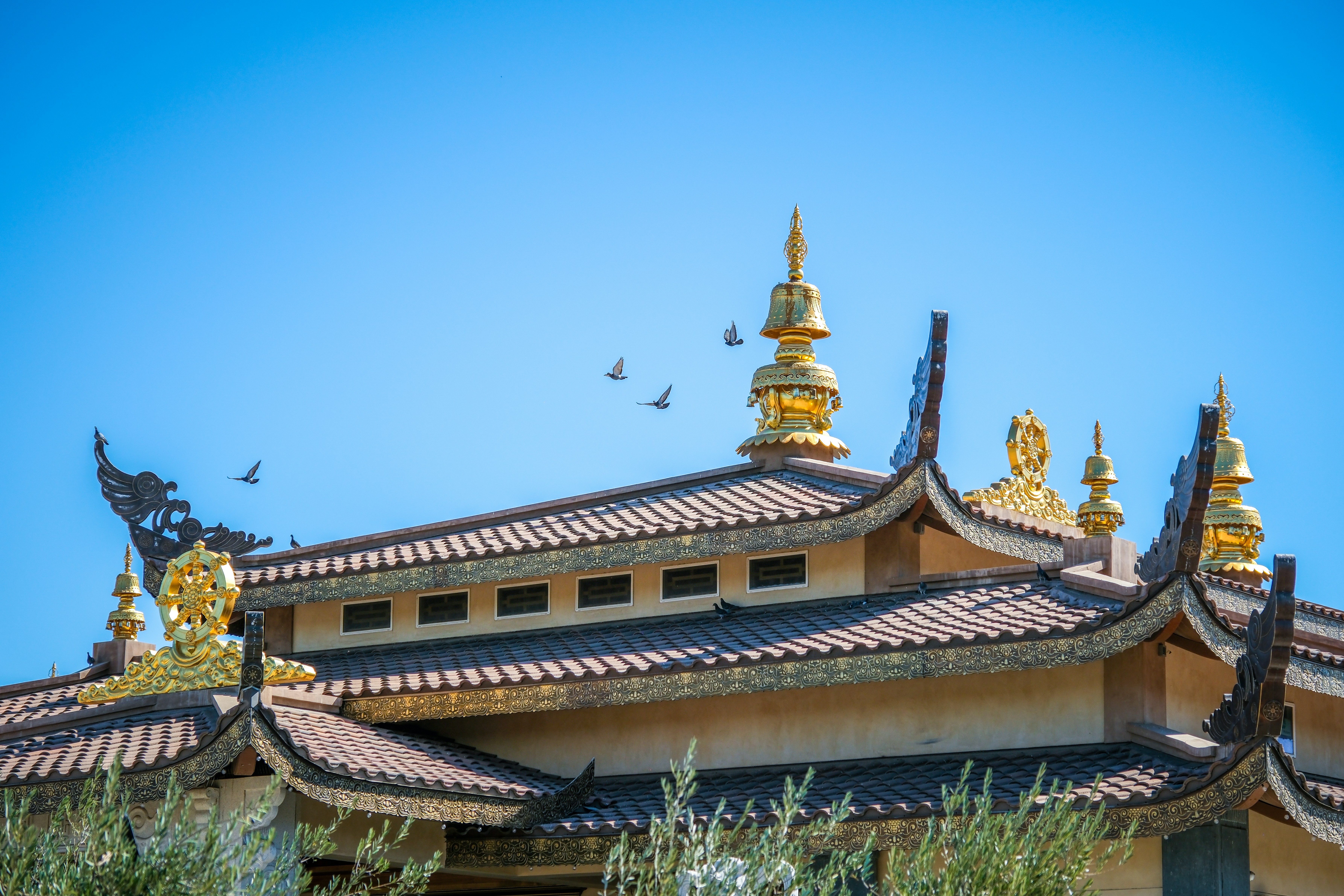Golden Finials Rise Above Terracotta Roofs in Quiet Temple Scene