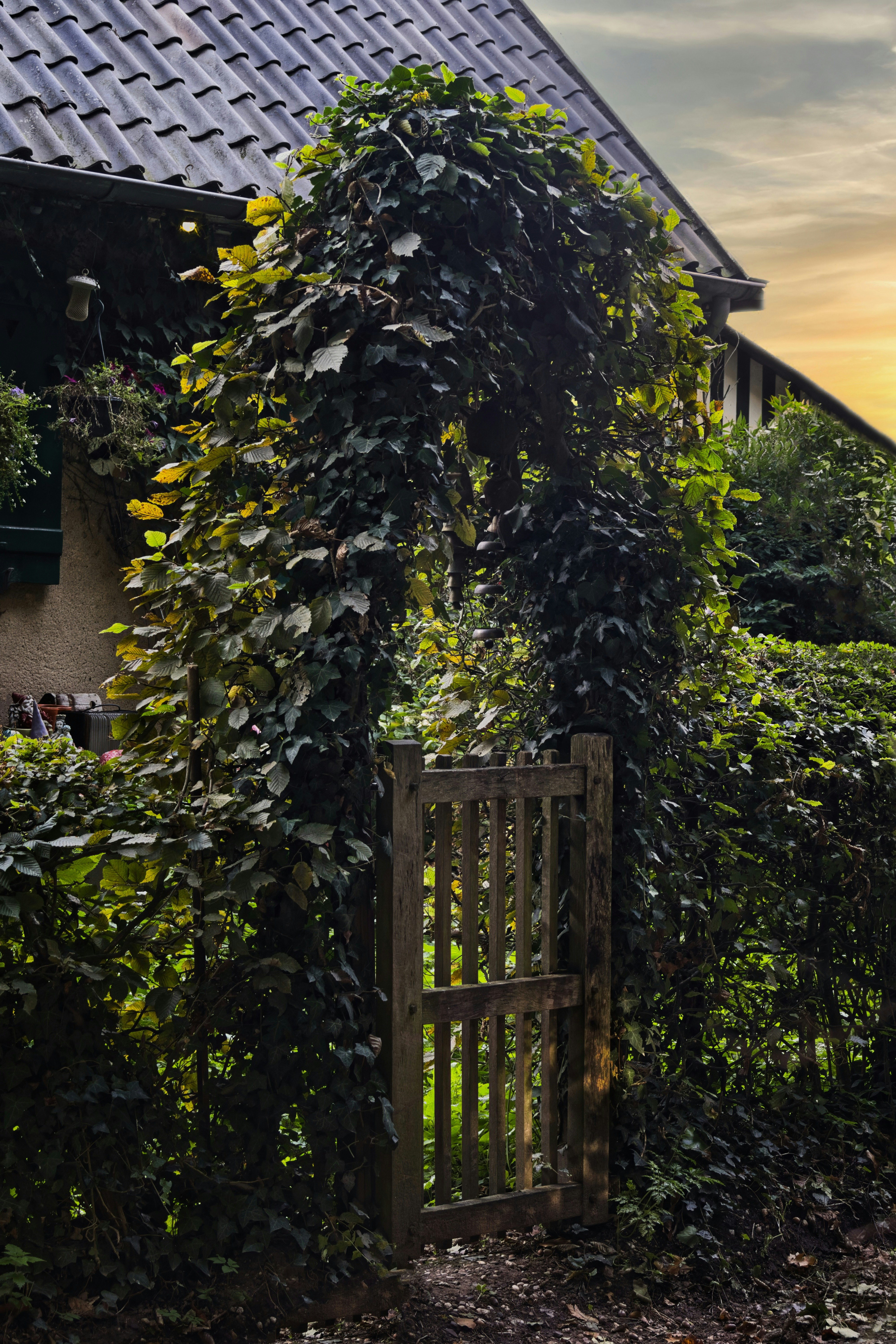 Vine-arched Garden Gate at Dusk