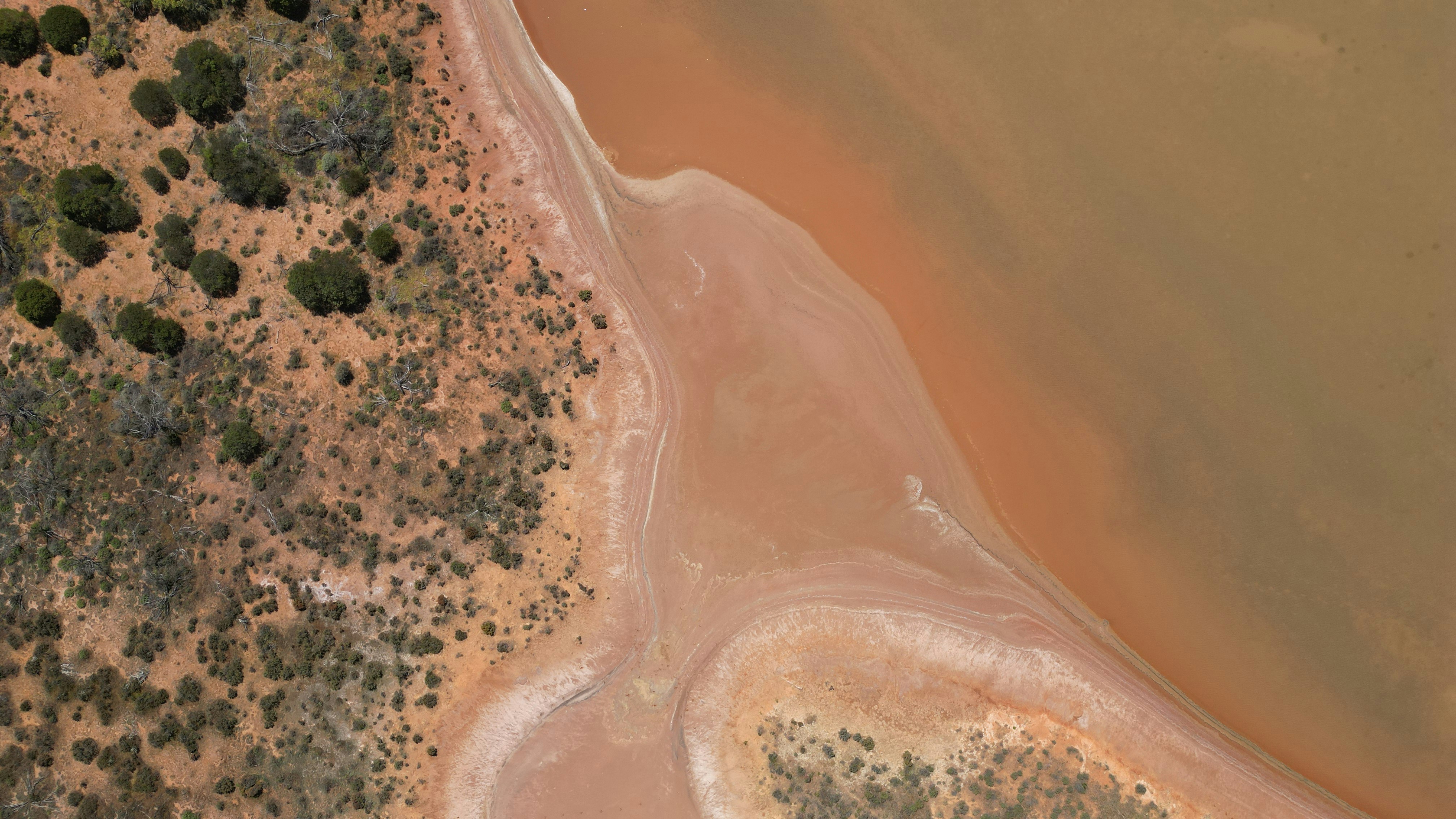 Salt Tide Confluence: Pink Shores Meet Deserted Green