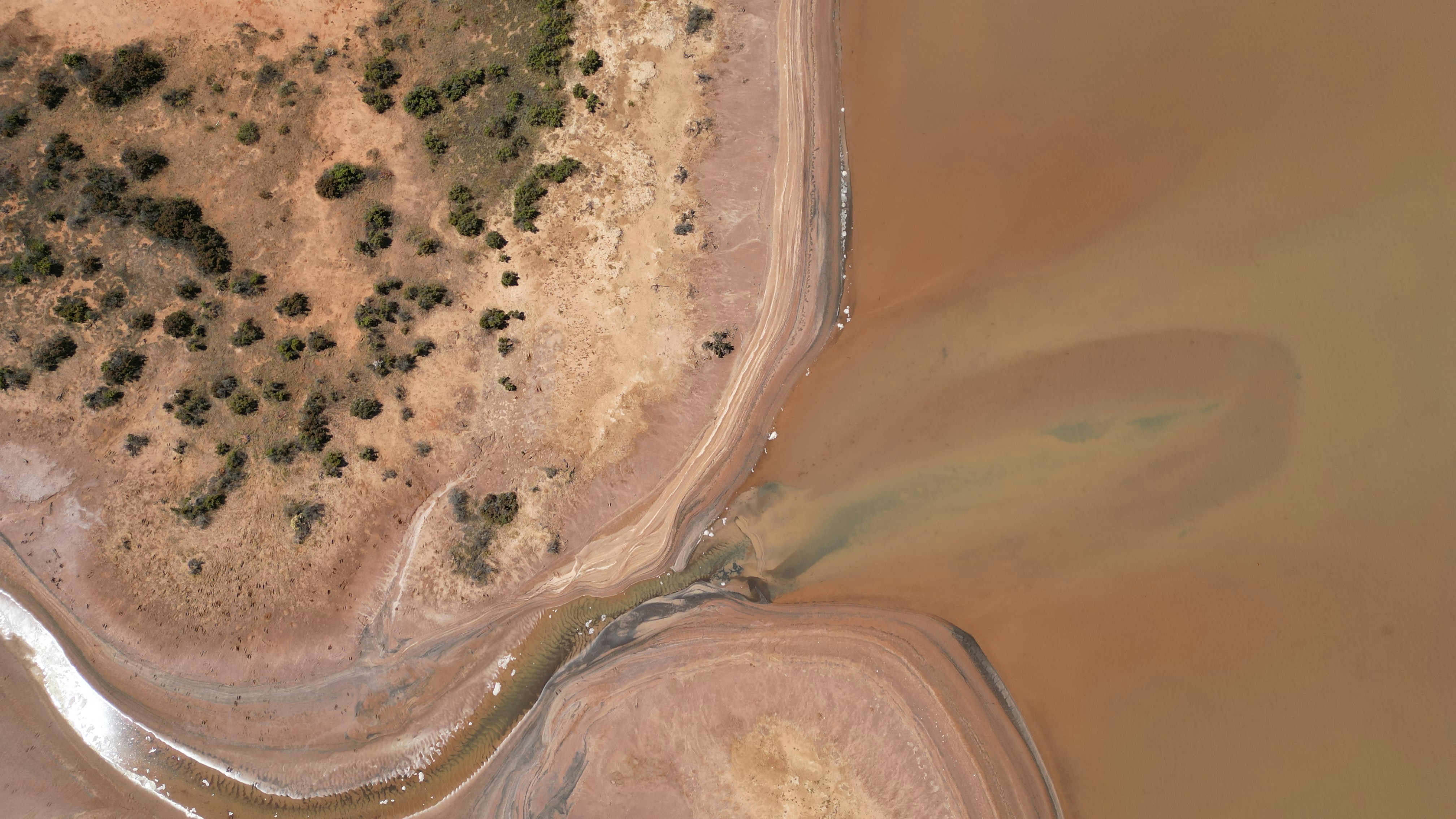 Aerial view of a muddy shoreline where a curved inlet meets a dry, dune-like landform; subtle vegetation dotted across the left half and shallow water tones on the right. Aerial landscape shot emphasizing color gradients and natural erosion patterns.