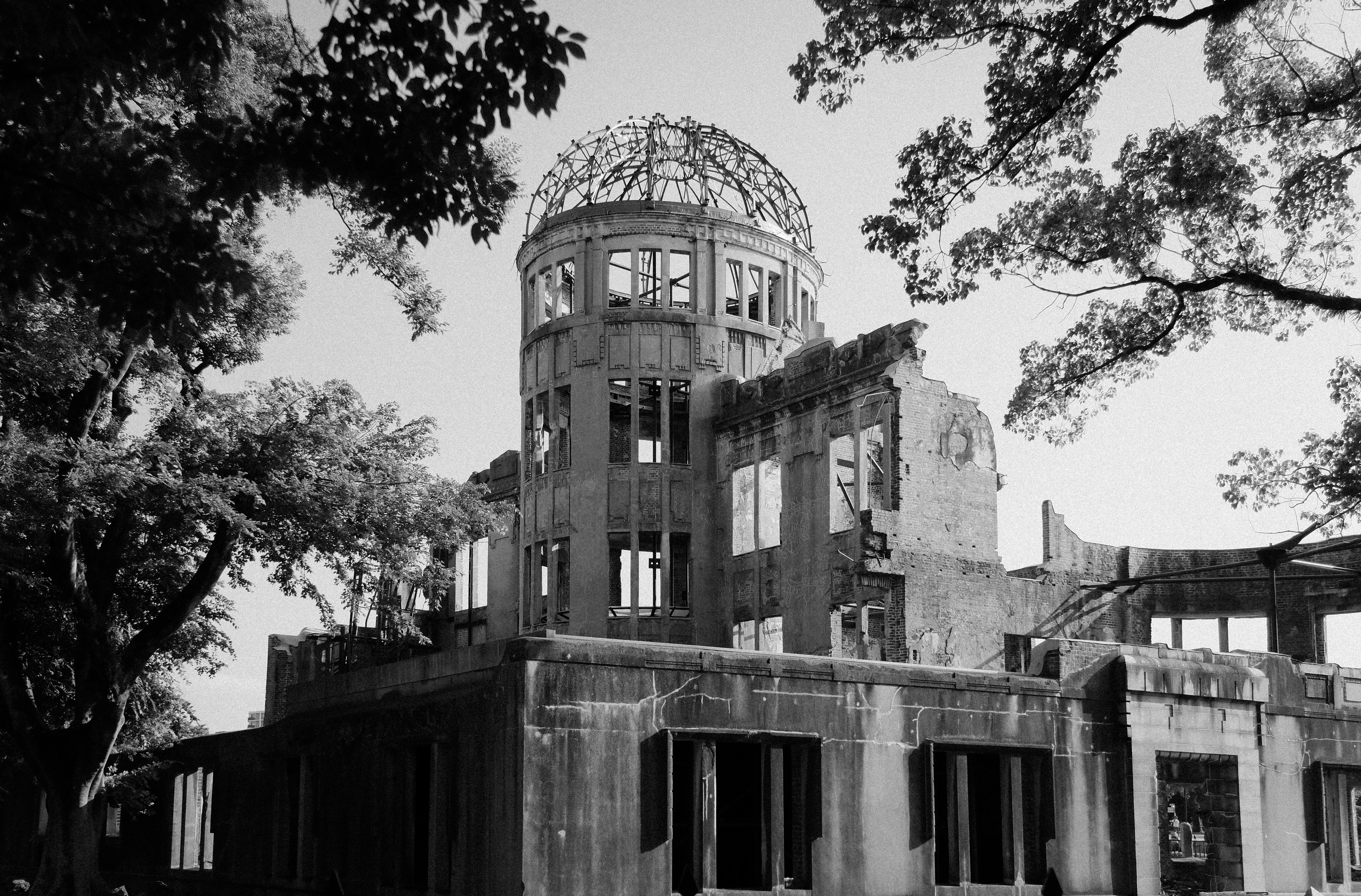 Ruins Beneath a Dome: A Silent Remnant Among the Trees