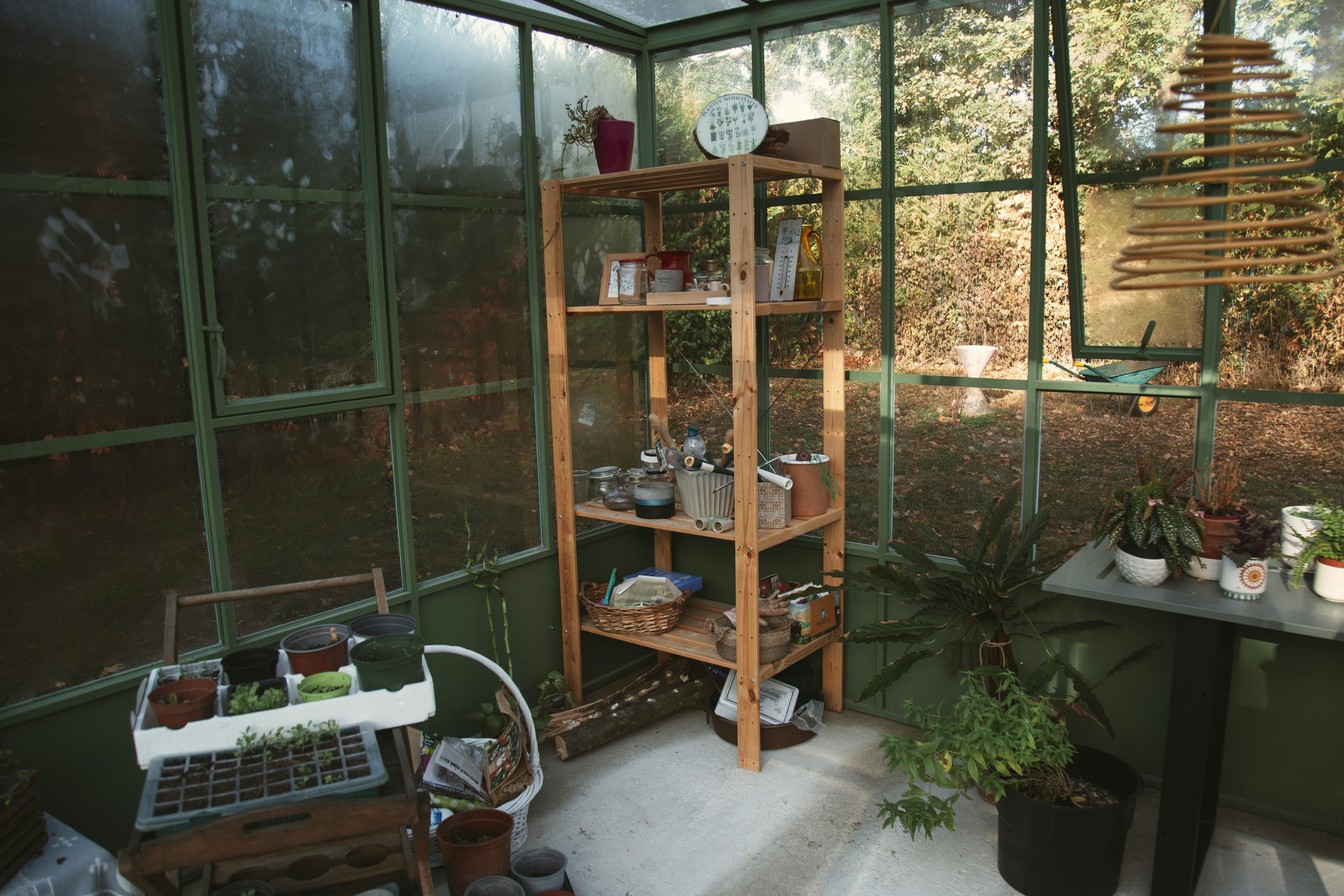 Sunlit Greenhouse Nook: A Quiet Corner of Pots, Shelves, and Seedlings