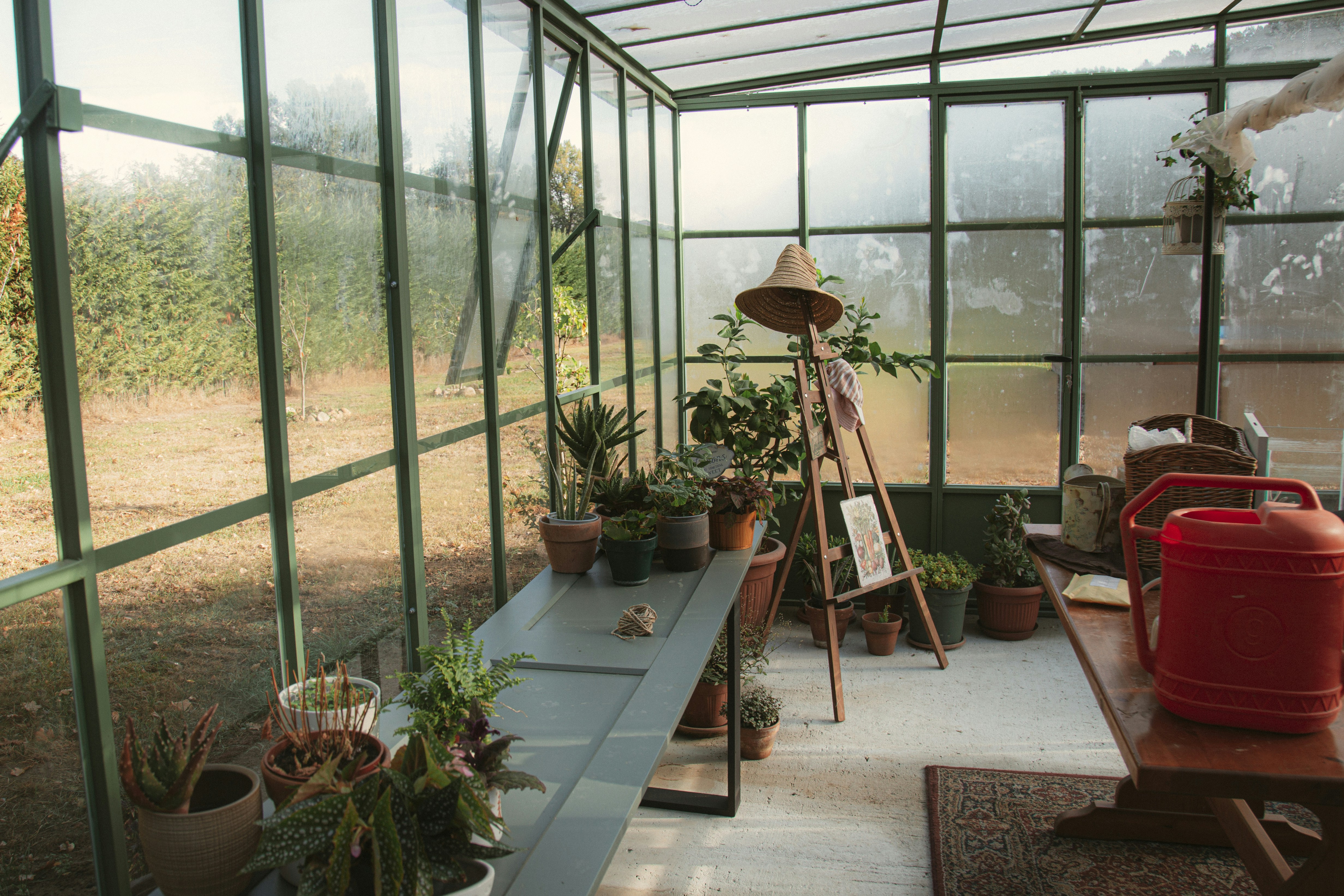 Sunlit greenhouse benches: a quiet corner of potted life