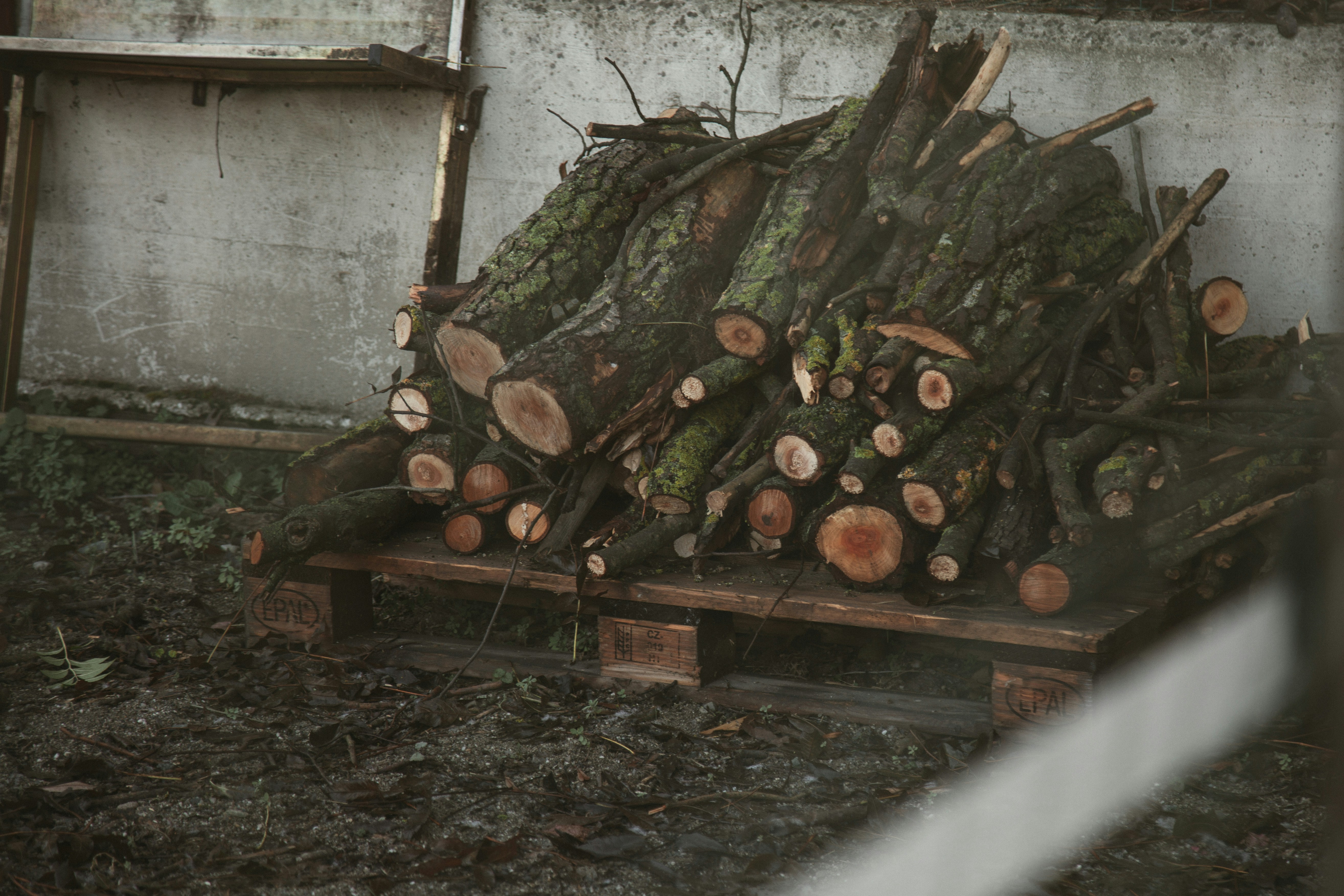 Stacked Logs on a Wooden Pallet by a Weathered Wall