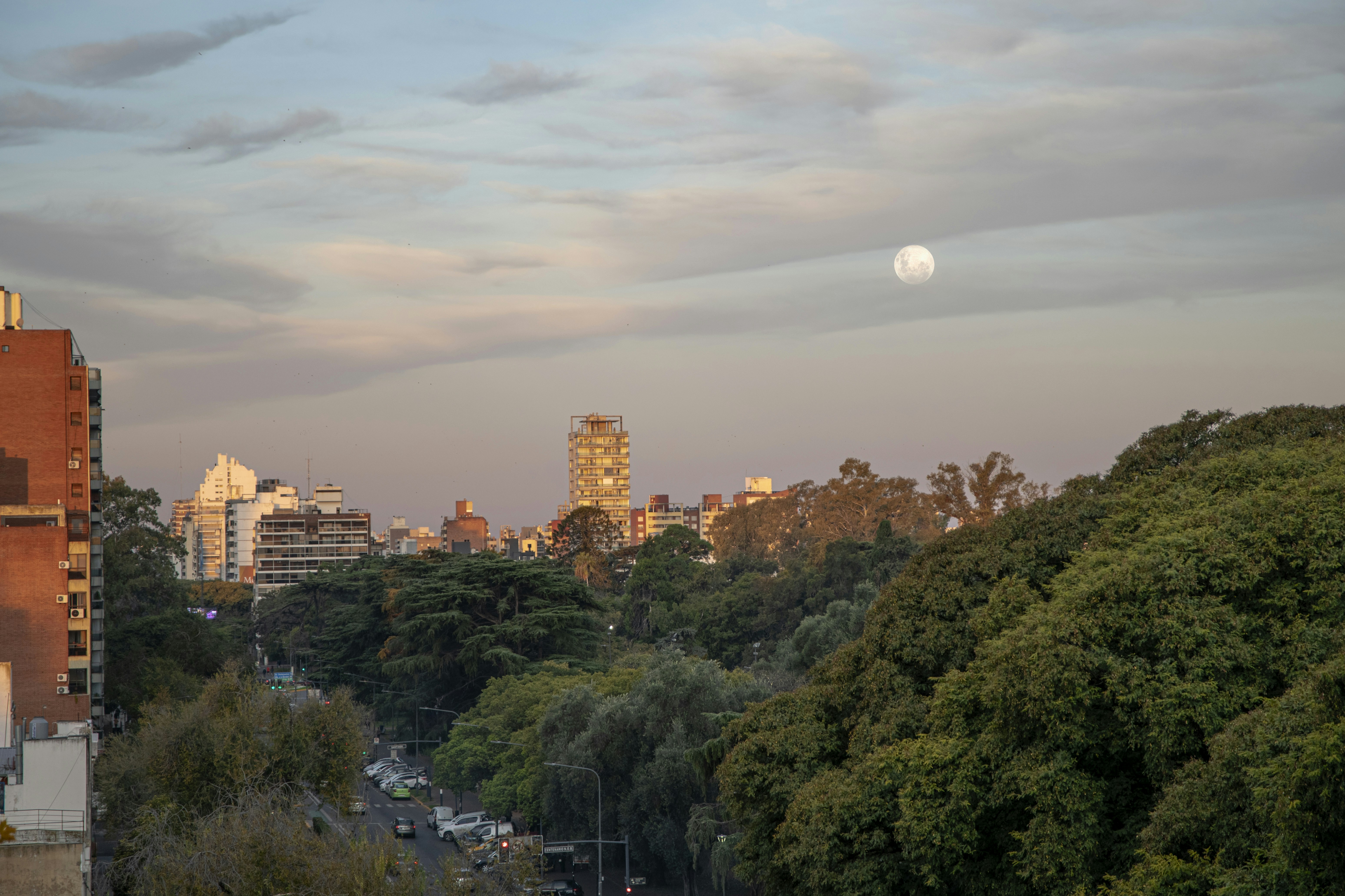 Moonlit Skyline Over a Green Arc