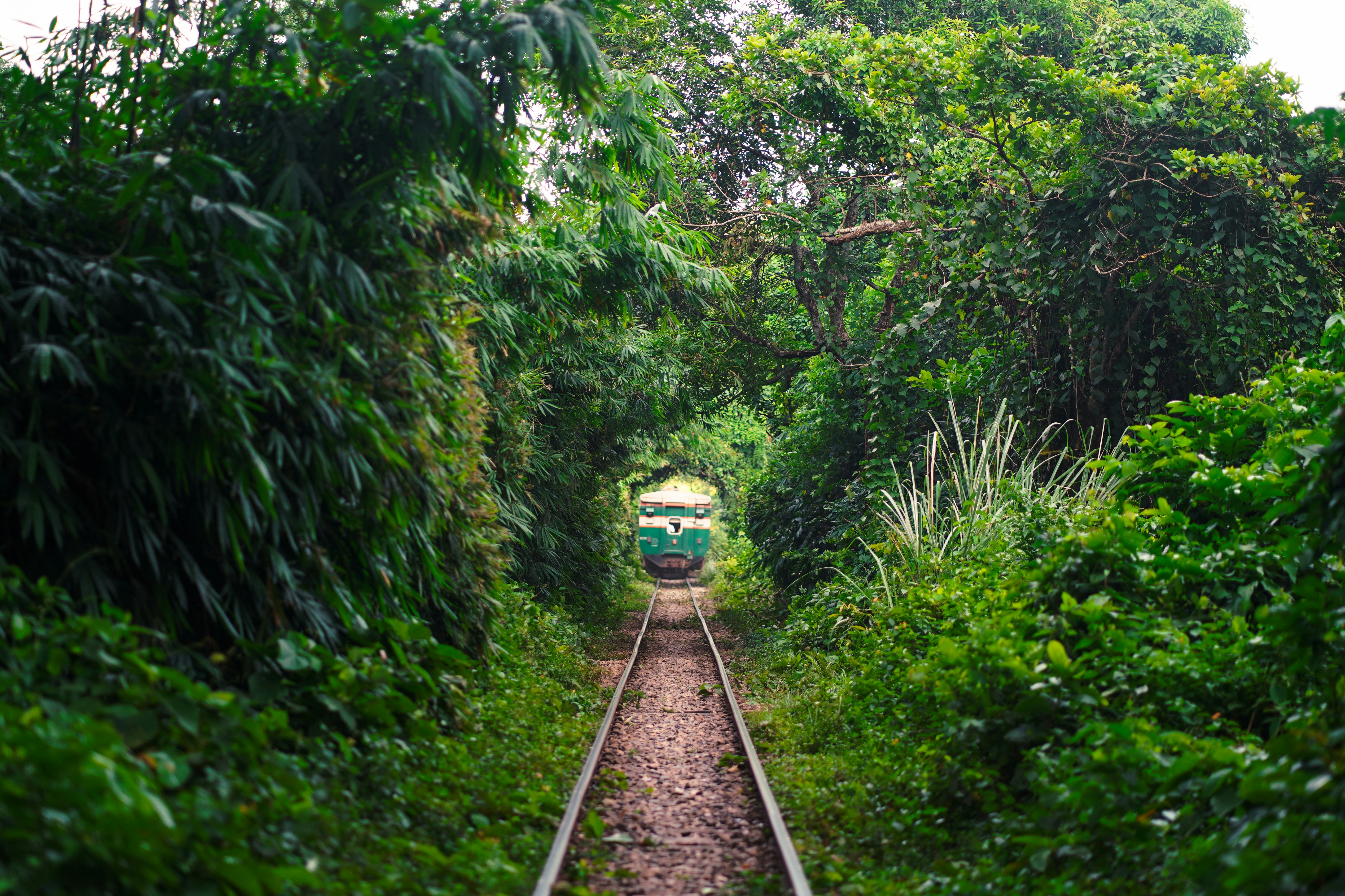 Railway through the Green Corridor