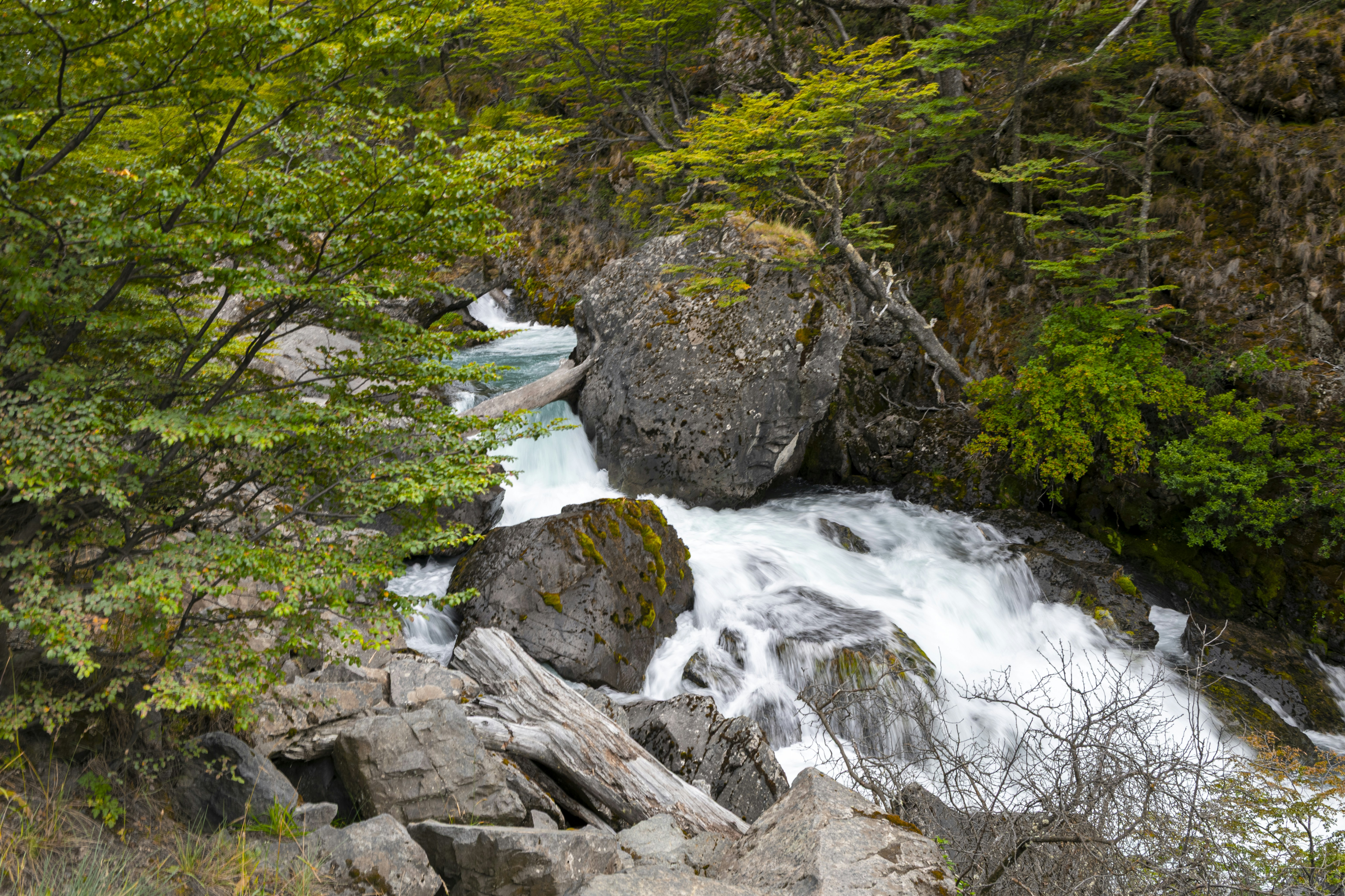 Rushing Cascade Through a Nest of Green and Rock