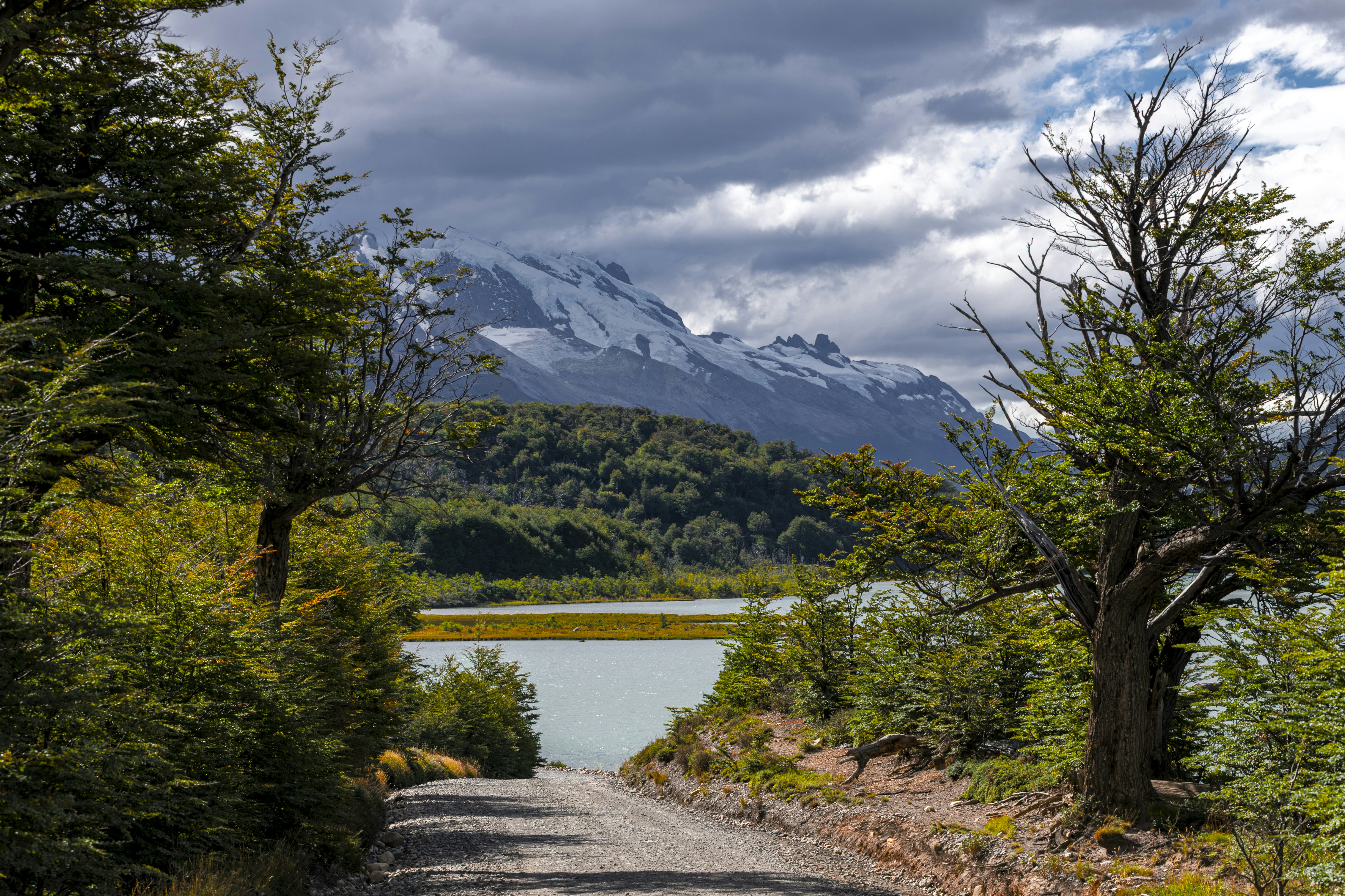 Road to the Glacial Quiet: Path Toward the Snowfield