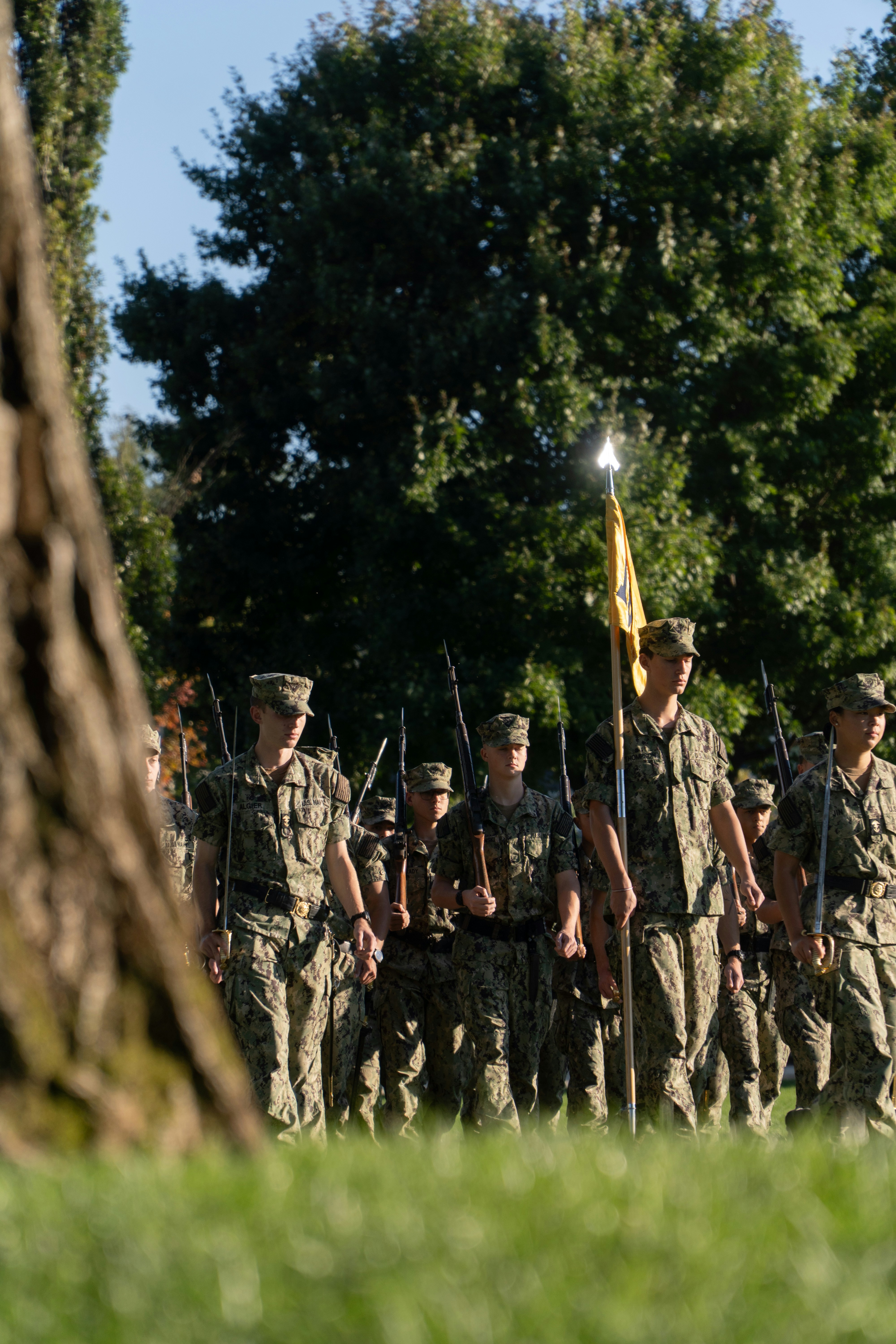 Formation in the Shadow of the Flag