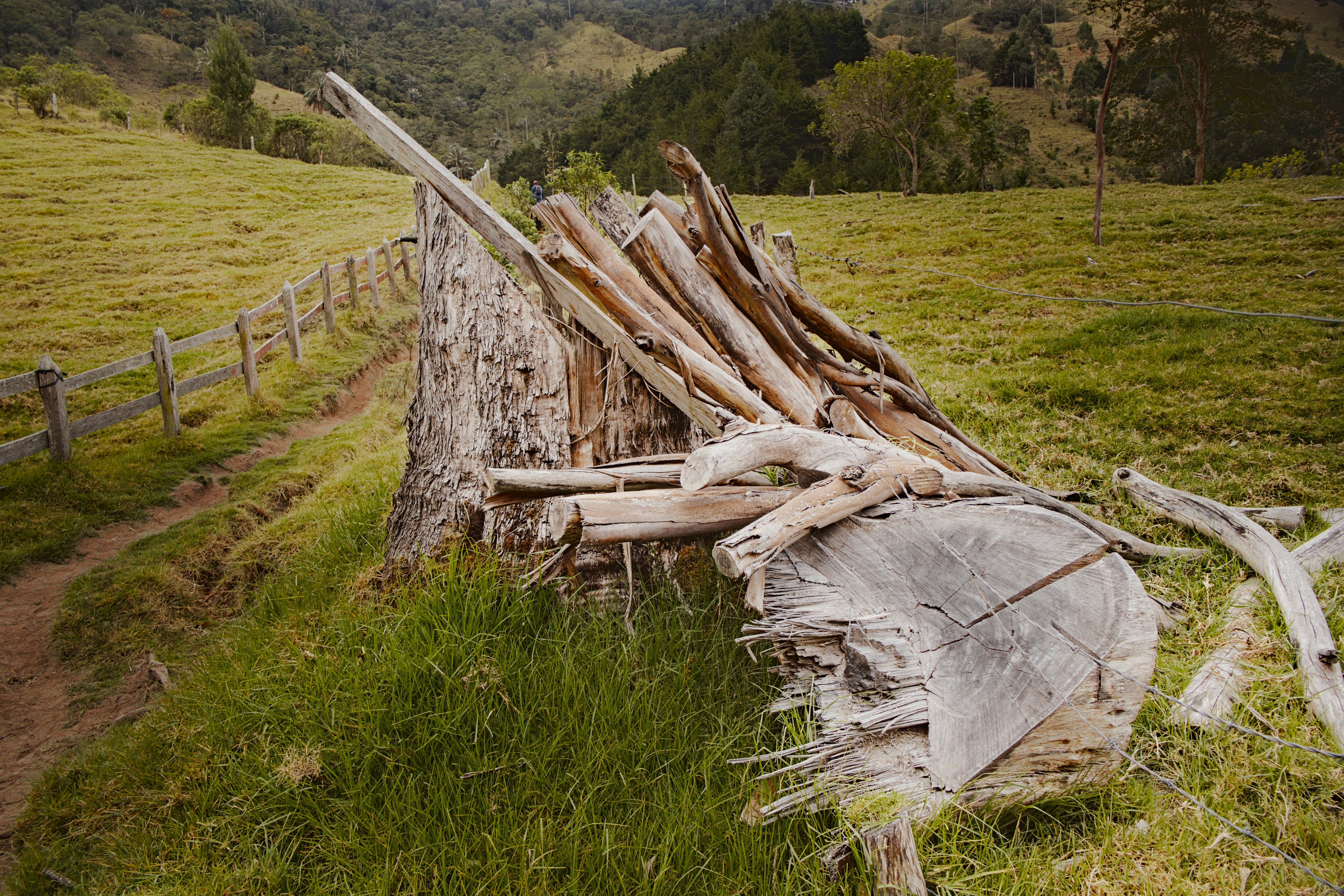 Weathered log sculpture in sunlit meadow grooves into a rolling hillside