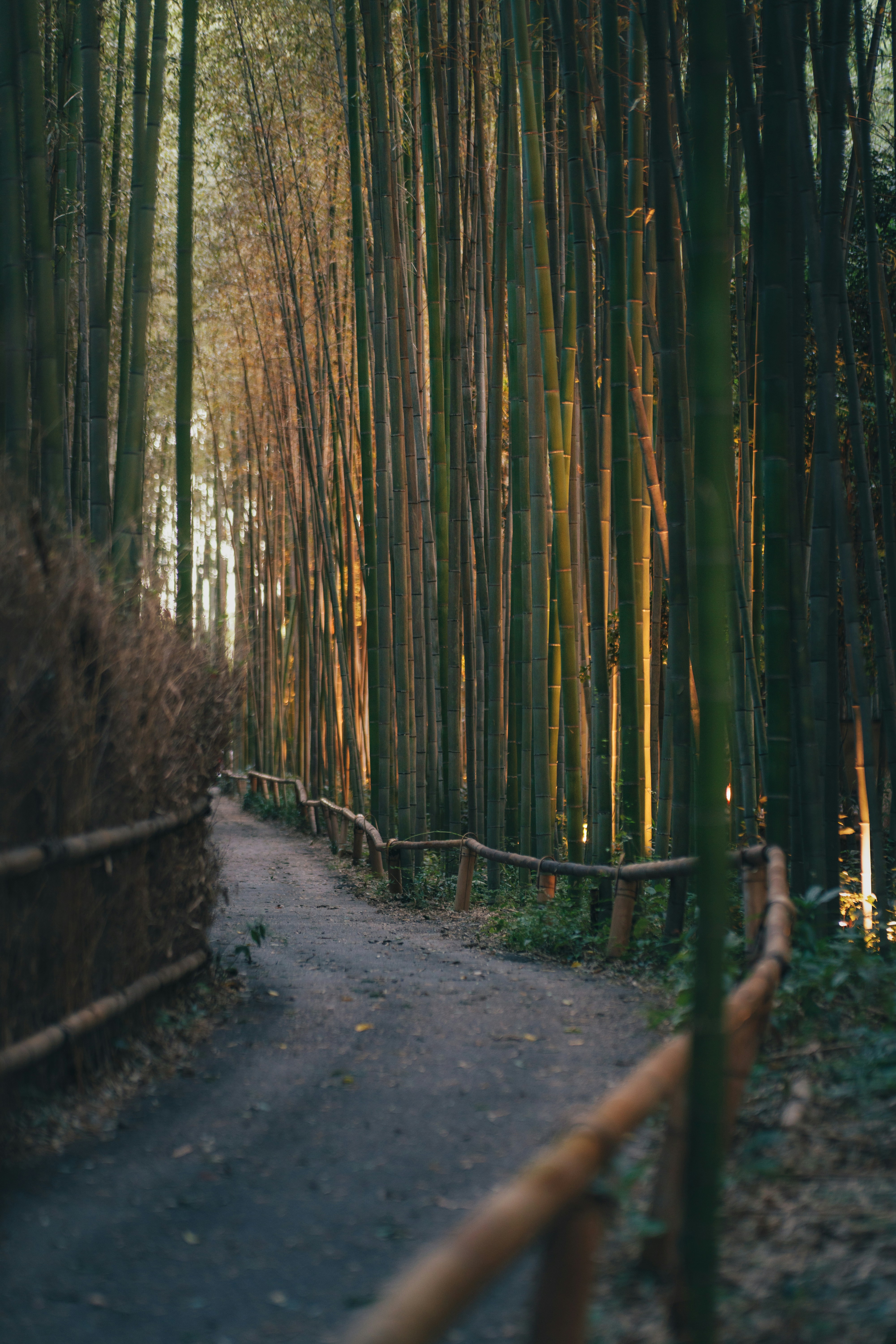 Photo by Daniel Seßler with Sony Alpha 7R III