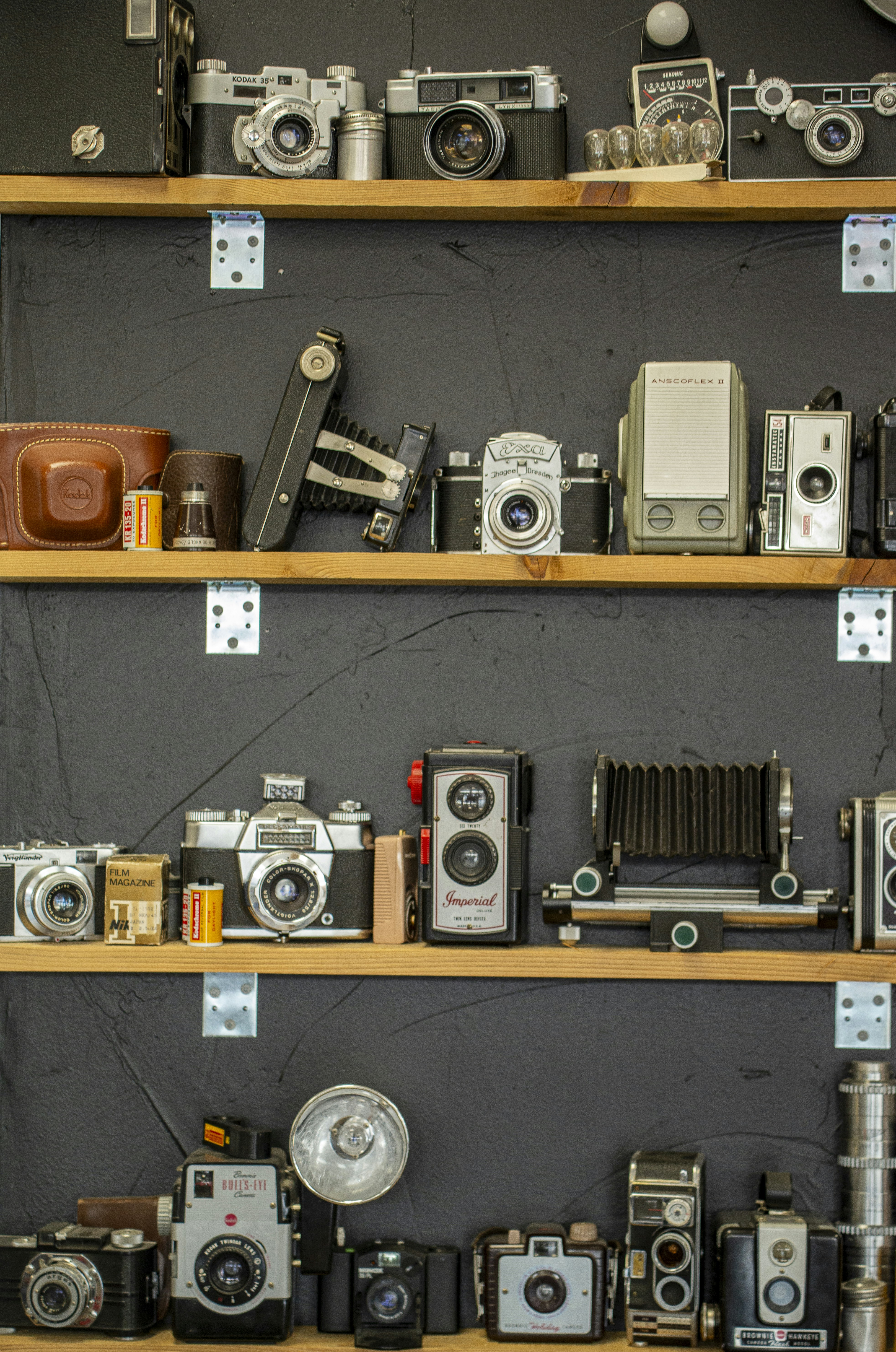 Shelf of Time: A Quiet Assembly of Vintage Cameras