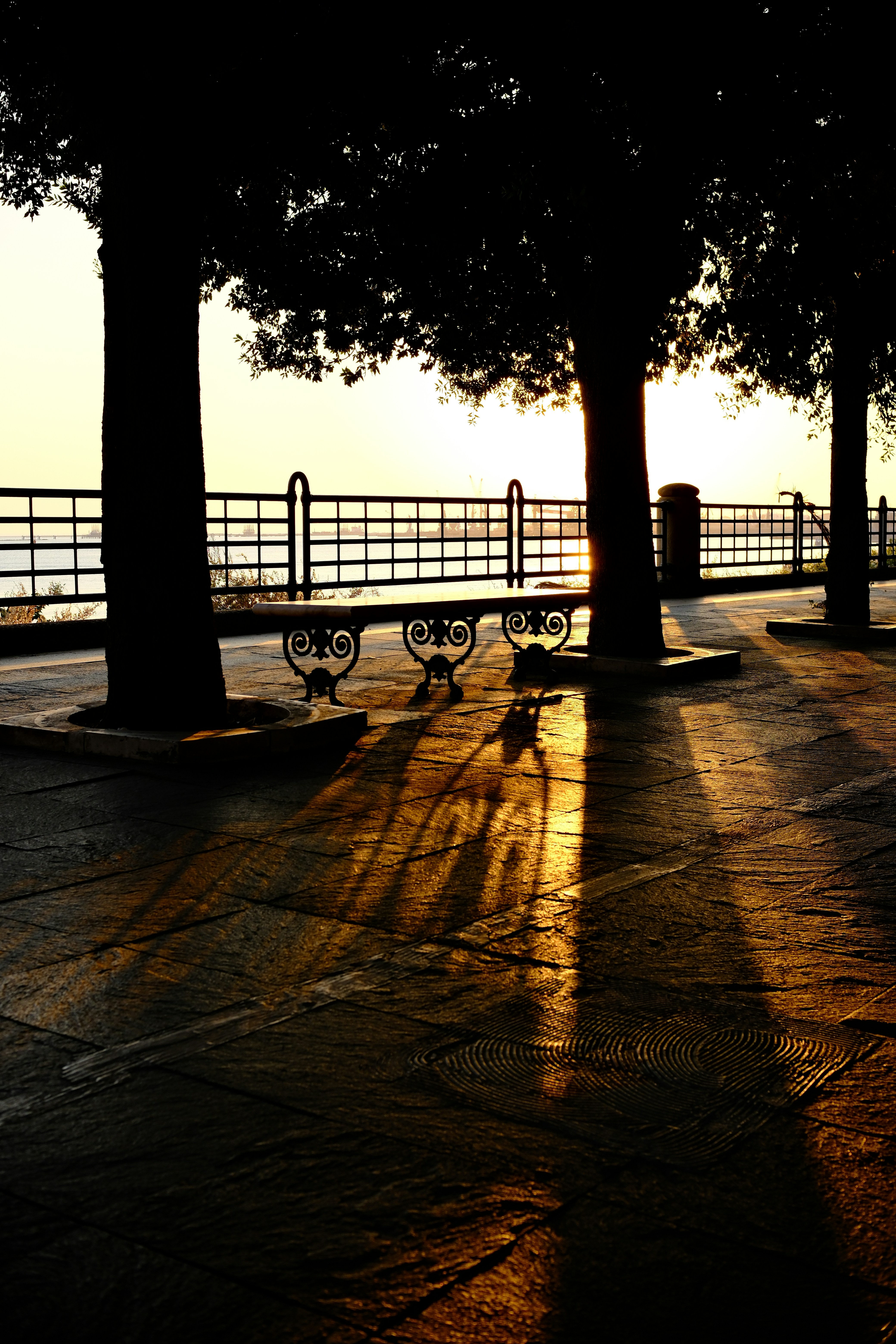 Golden Shadows on a Waterfront promenade