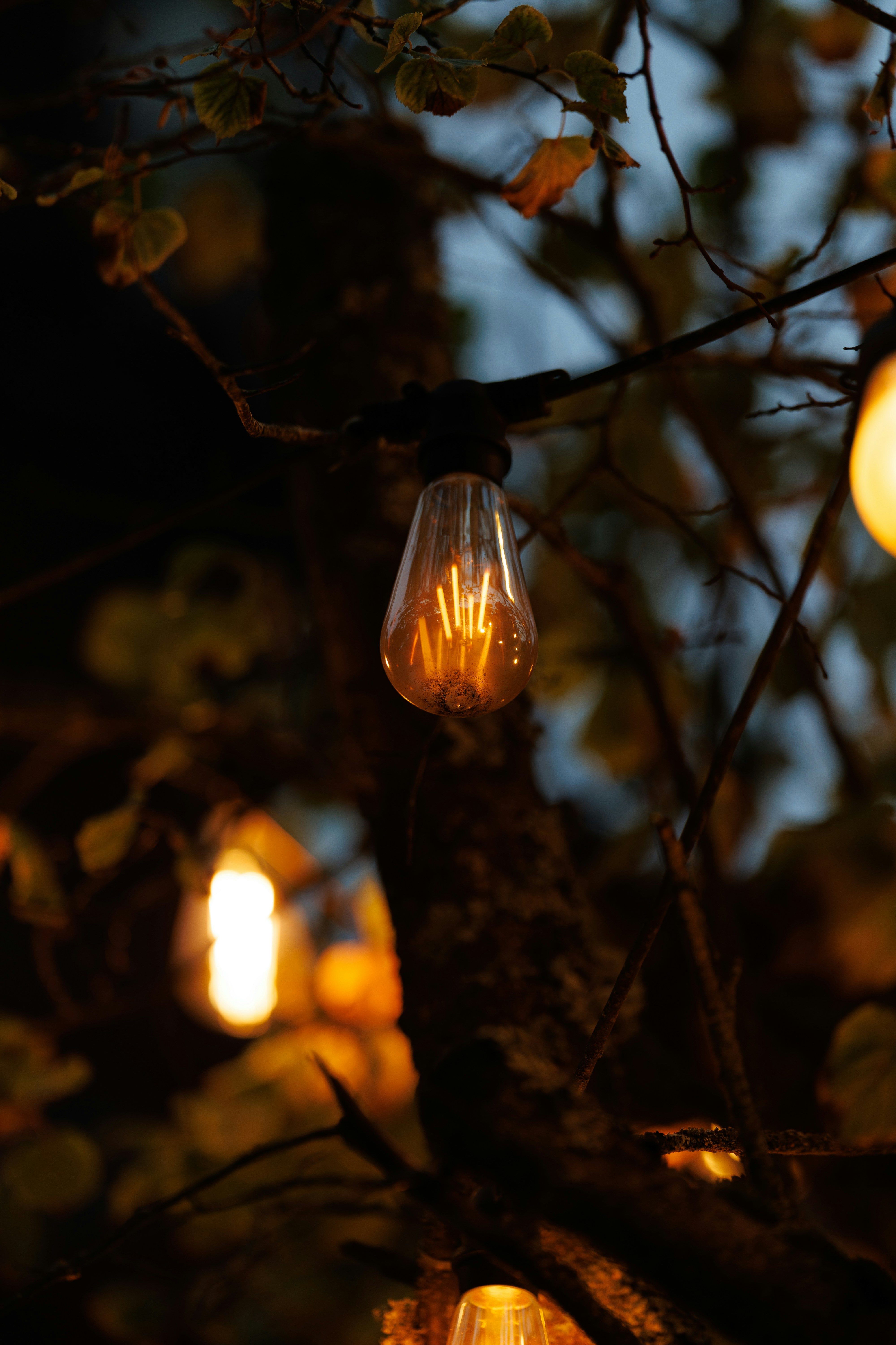 A Glowing Ember Pendant: A Night of Warm Bulbs in the Greens