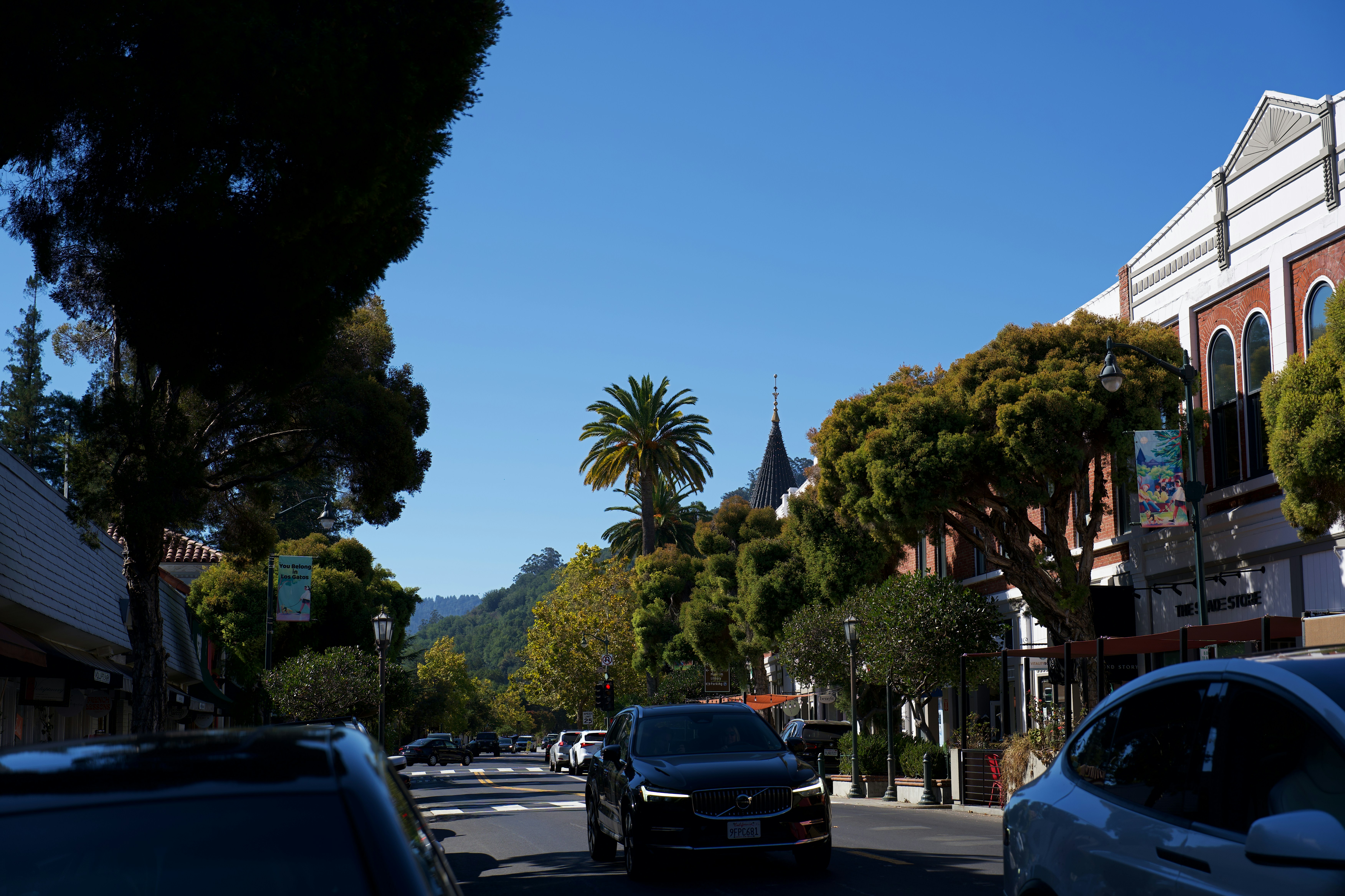 Sunlit Main Street Converges on a Central Palm and Distant Clocktower