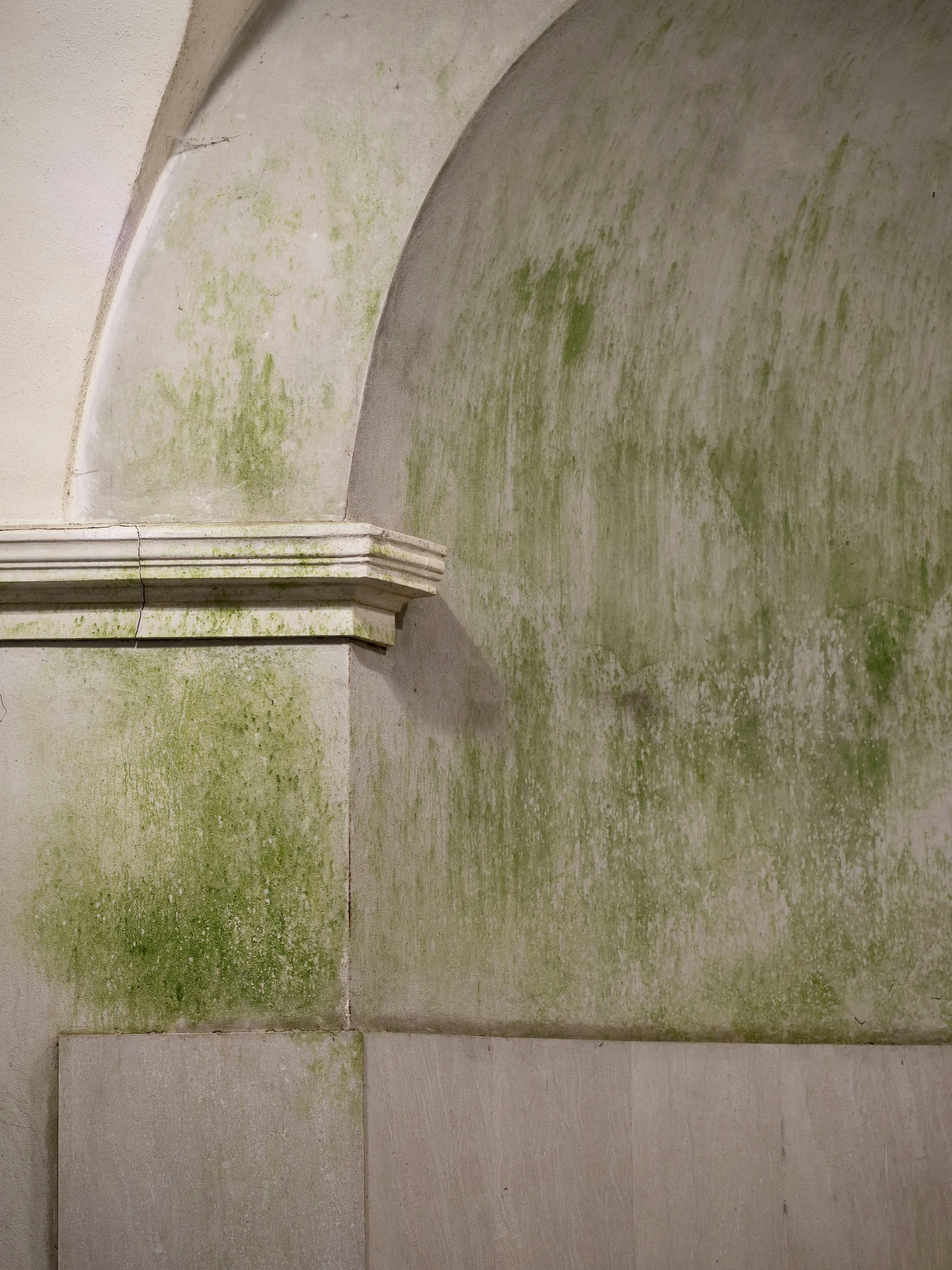 Moss-Speckled Archway: Quiet Drape of Time