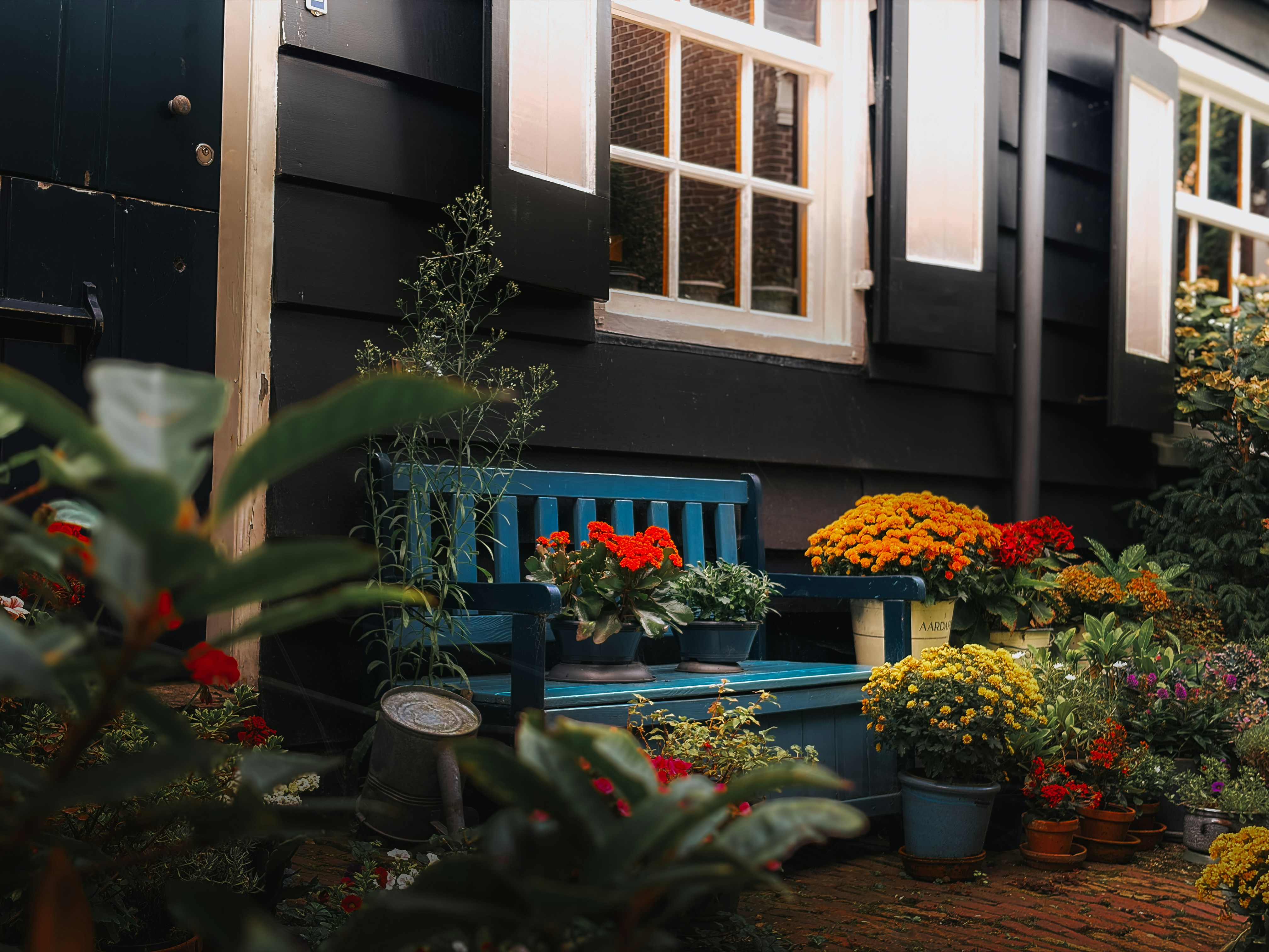 Garden Bench in Bloom: A Quiet Exterior Portrait of Color and Calm