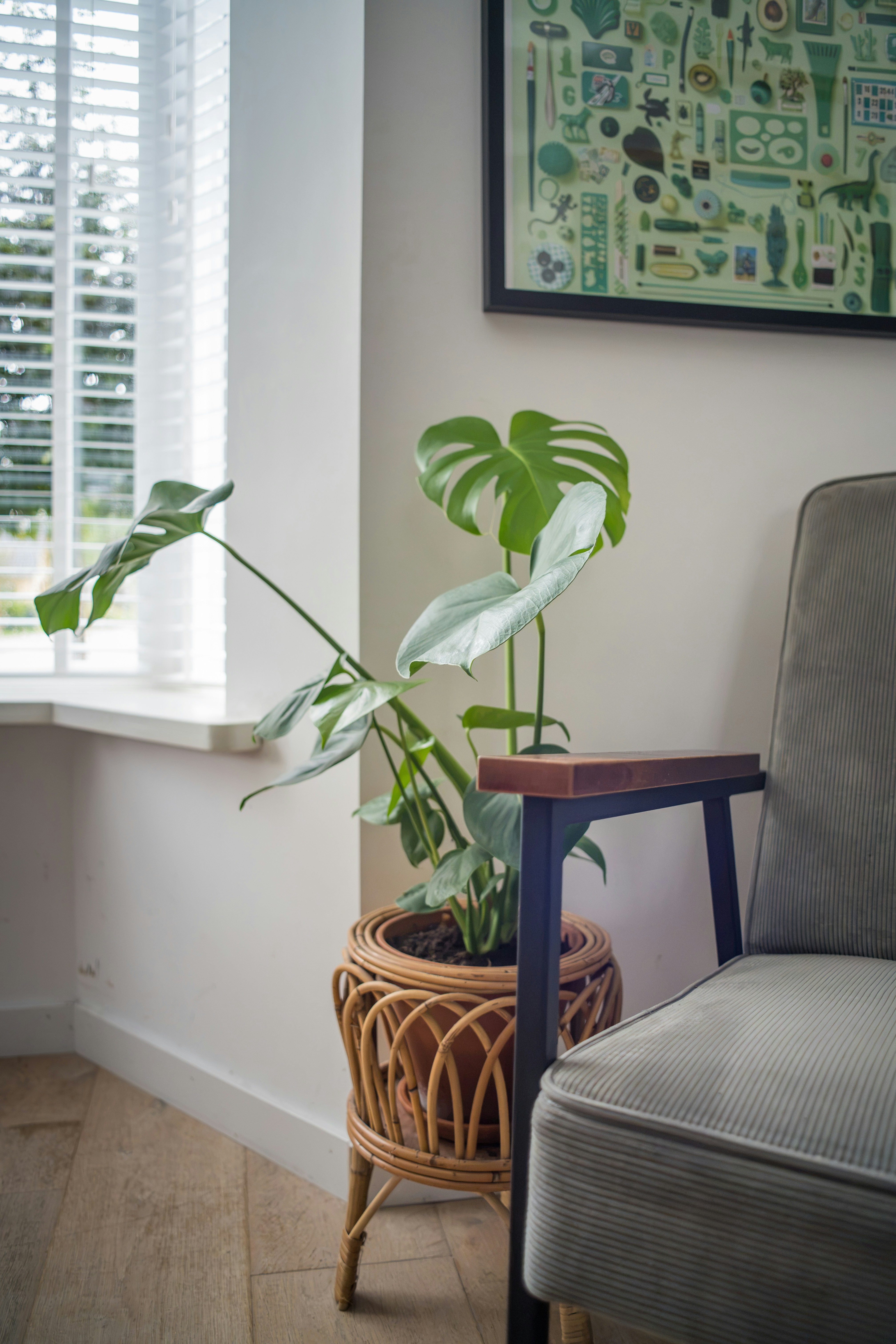 Sunlit interior with a Monstera plant in a woven pot beside a chair and a framed artwork; natural light from a window highlights the greenery and clean decor.